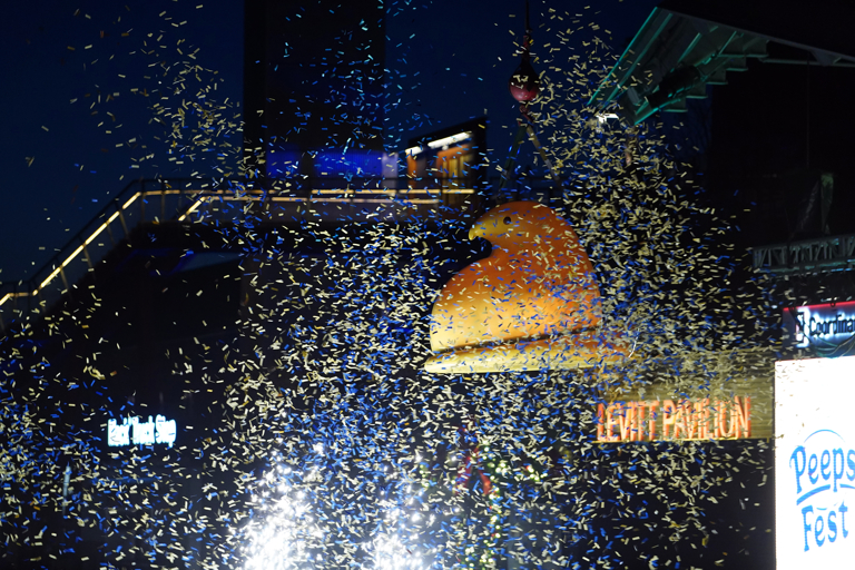 Virtually viewed Peeps Drop rings in 2021 - lehighvalleylive.com