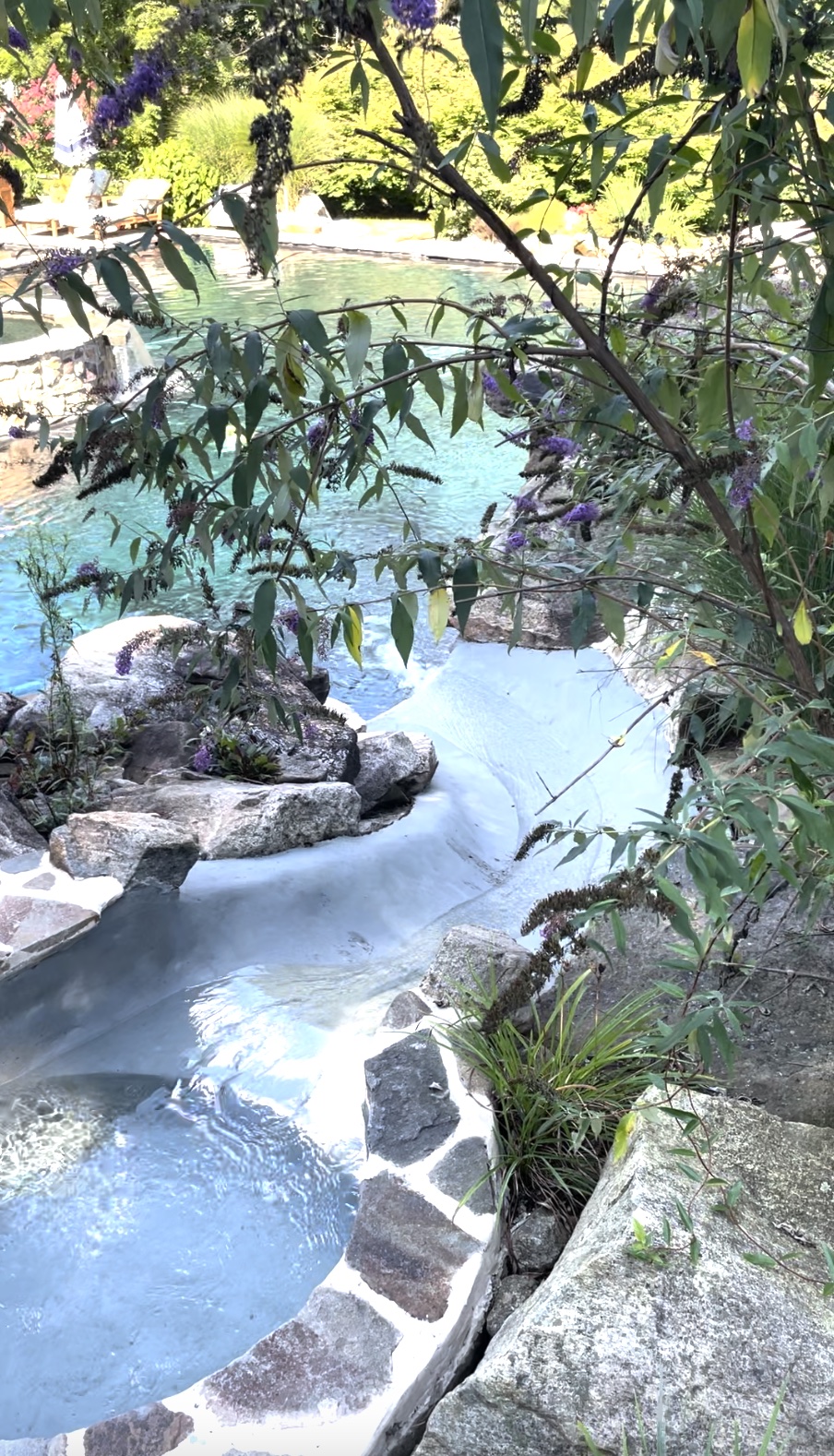 Maple Springs Vineyard - pennlive.com