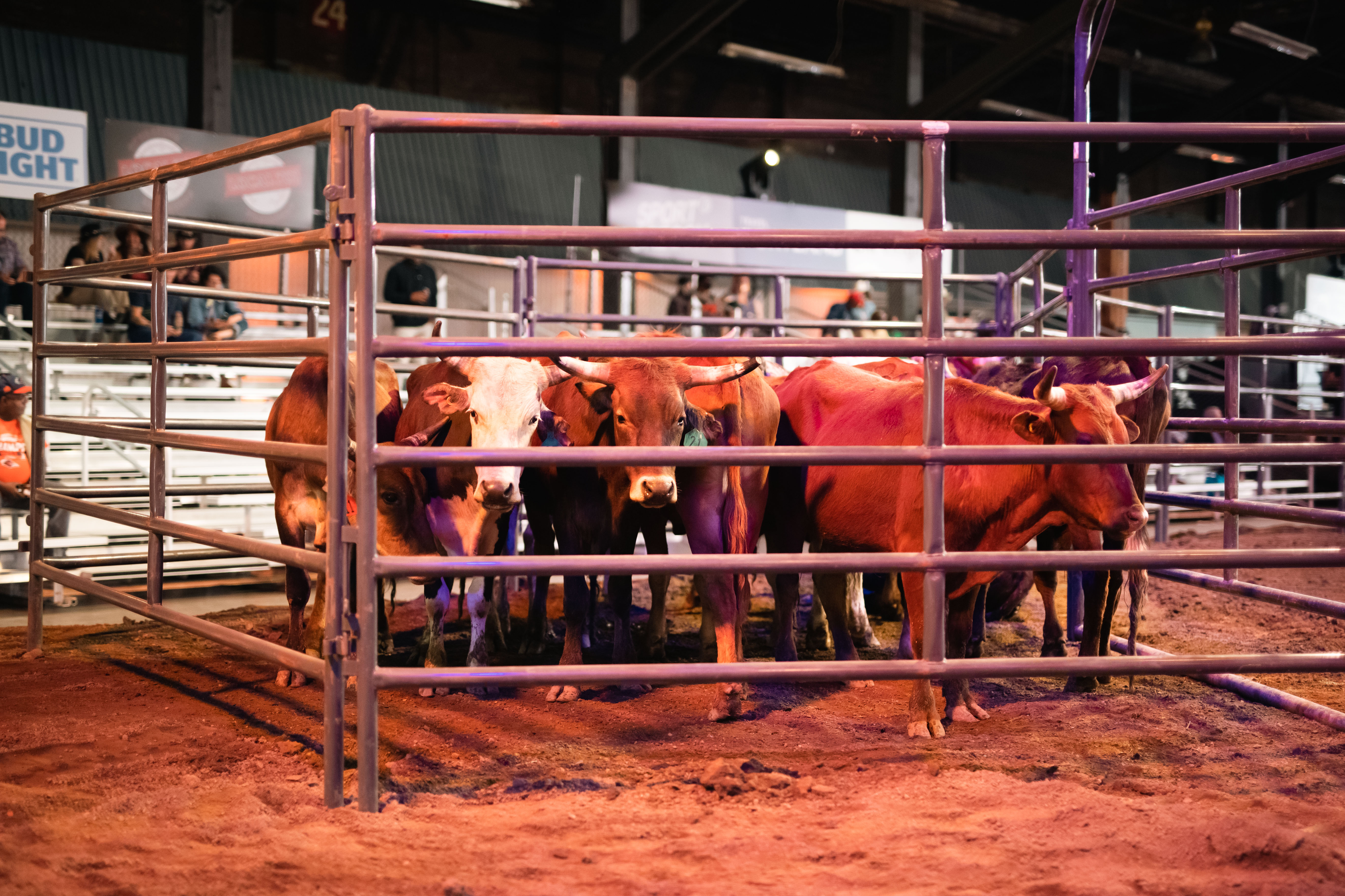 Juneteenth Rodeo at Portland Expo Center - oregonlive.com
