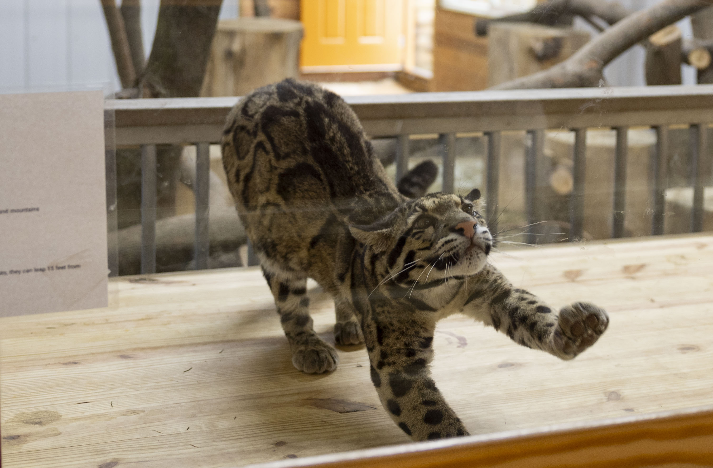 The Creature Conservancy - mlive.com