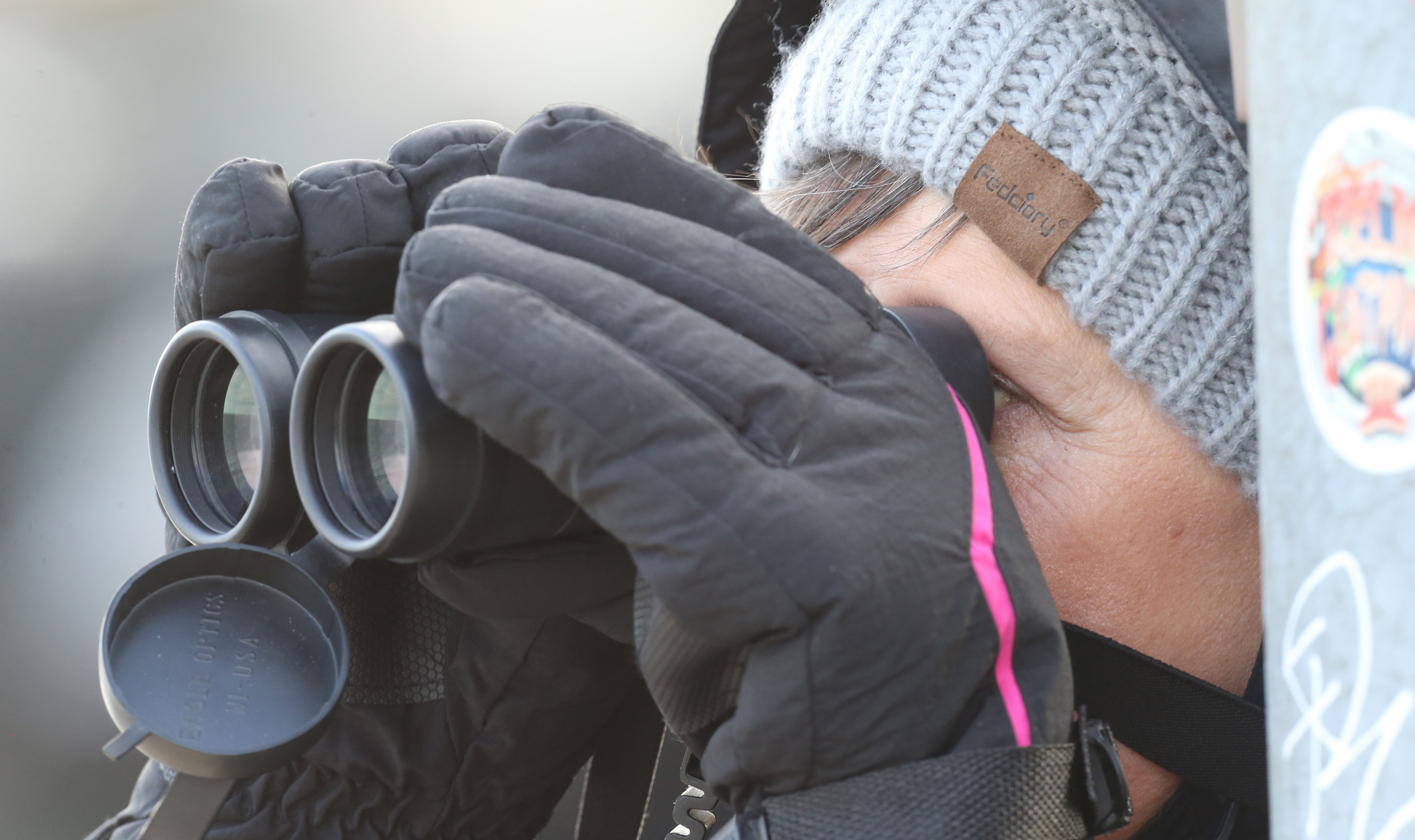 Snowy owls spotted in Lorain Harbor, January 5, 2022 - cleveland.com
