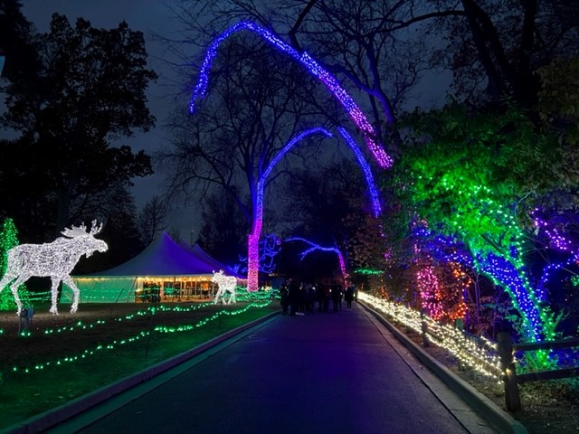 Wild Lights at the Detroit Zoo 2021 - mlive.com
