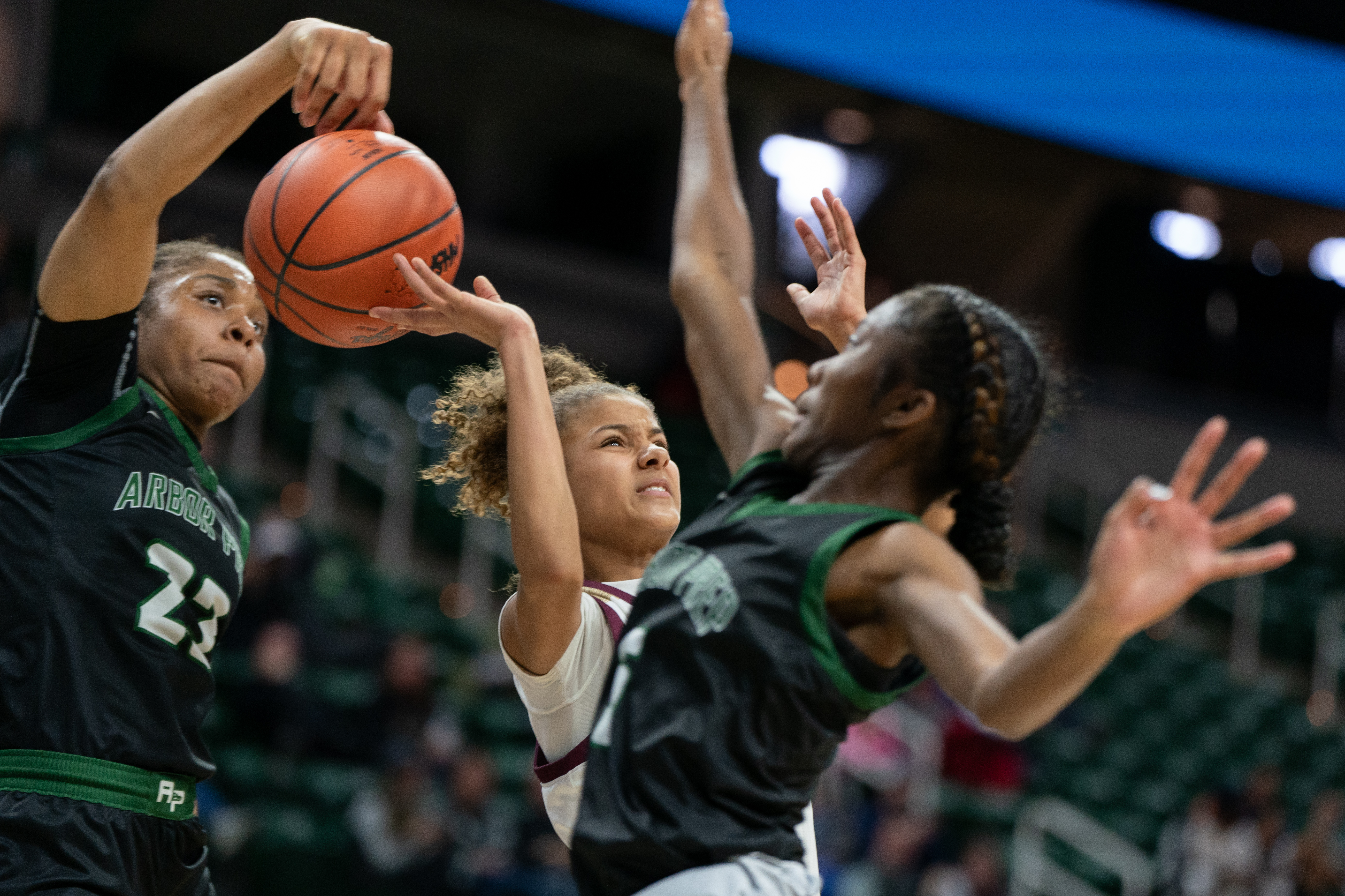 See big moments, top action from 2024 MHSAA girls basketball state ...