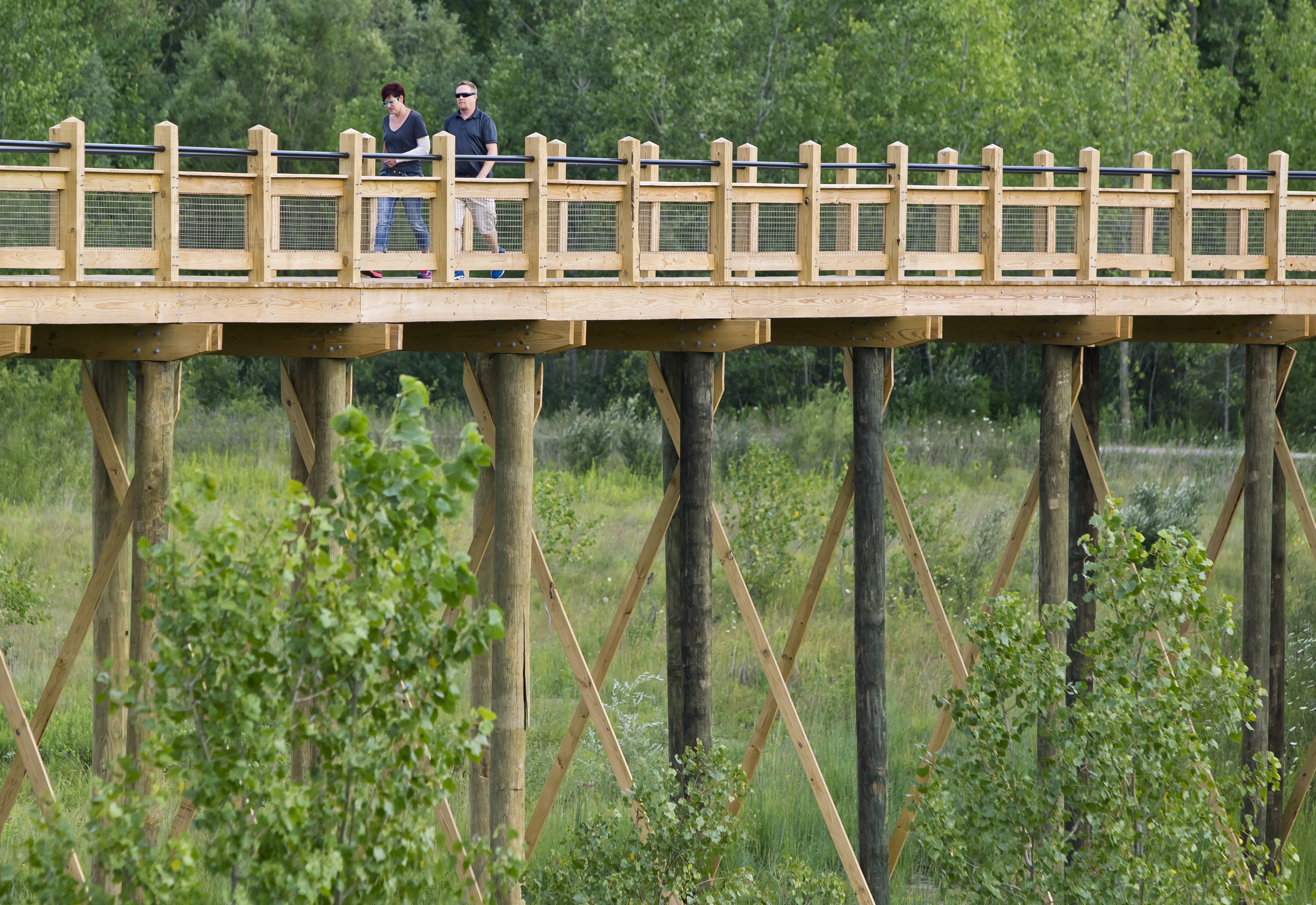 Millennium Park: Kent County's largest park - mlive.com