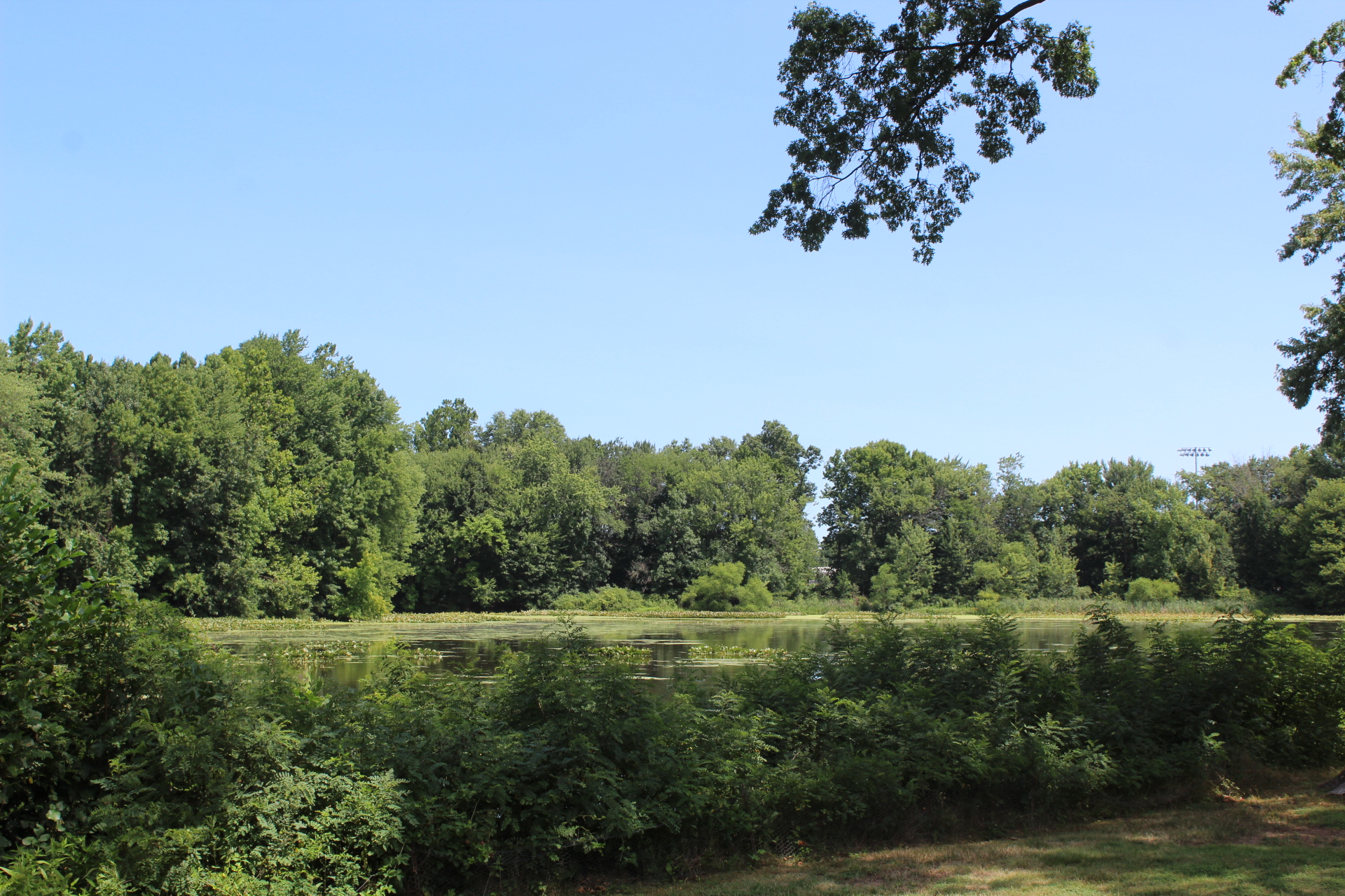 Clark New Jersey reservoir project - nj.com