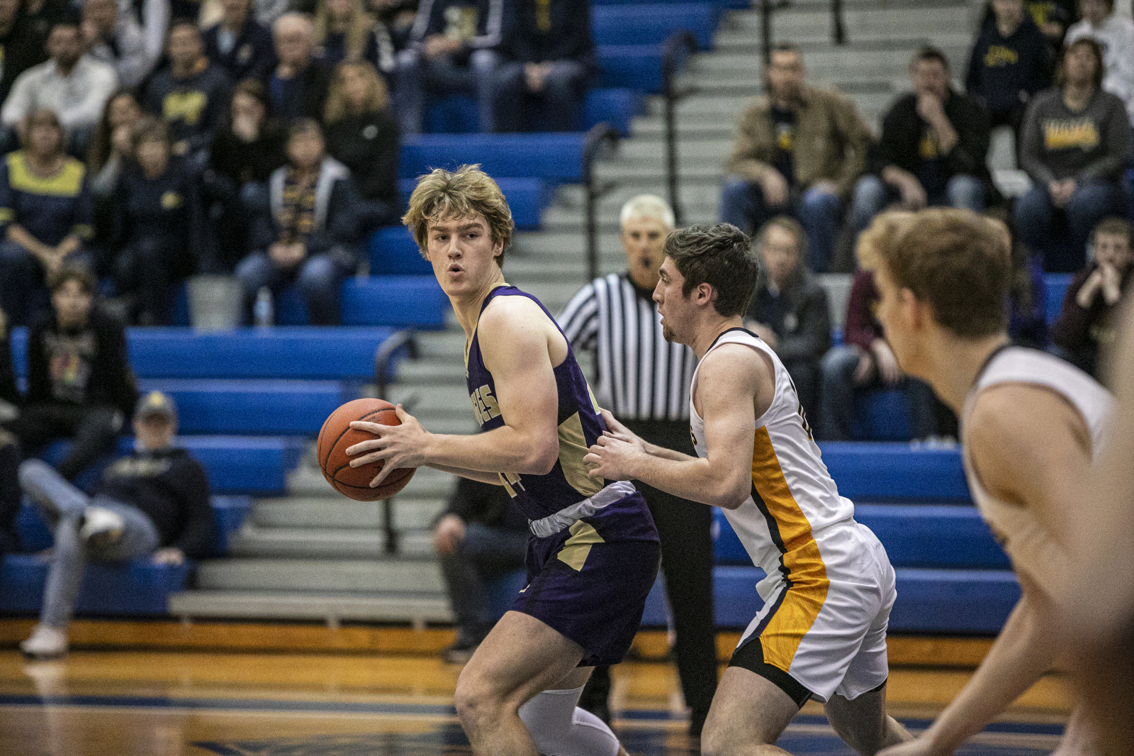 Schoolcraft defeats Pewamo-Westphalia in the division 3 boy’s ...