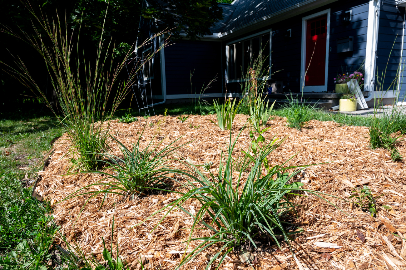 Native plant gardening in Washtenaw County - mlive.com