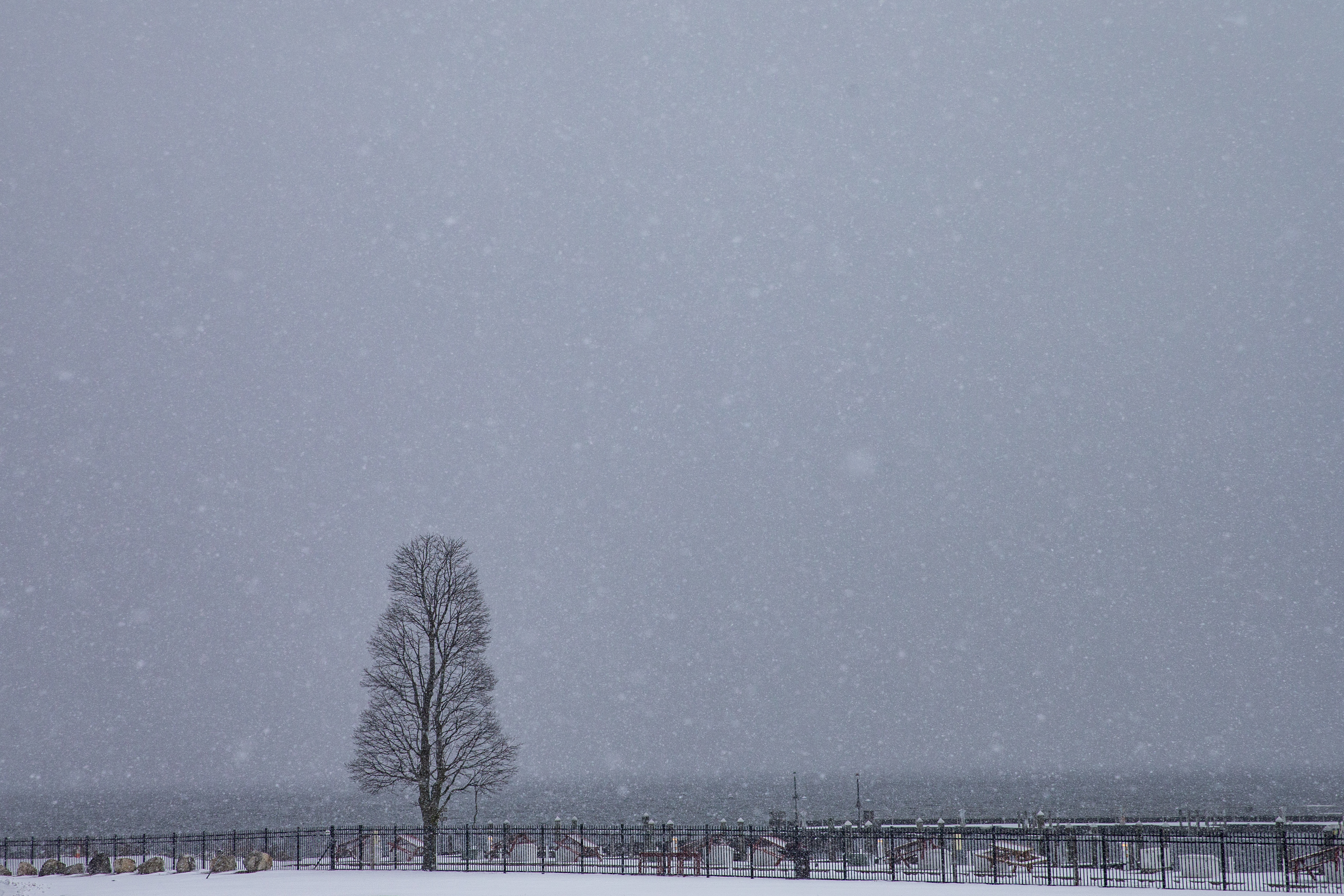 Winter storm warning creates West Michigan snow globe conditions ...