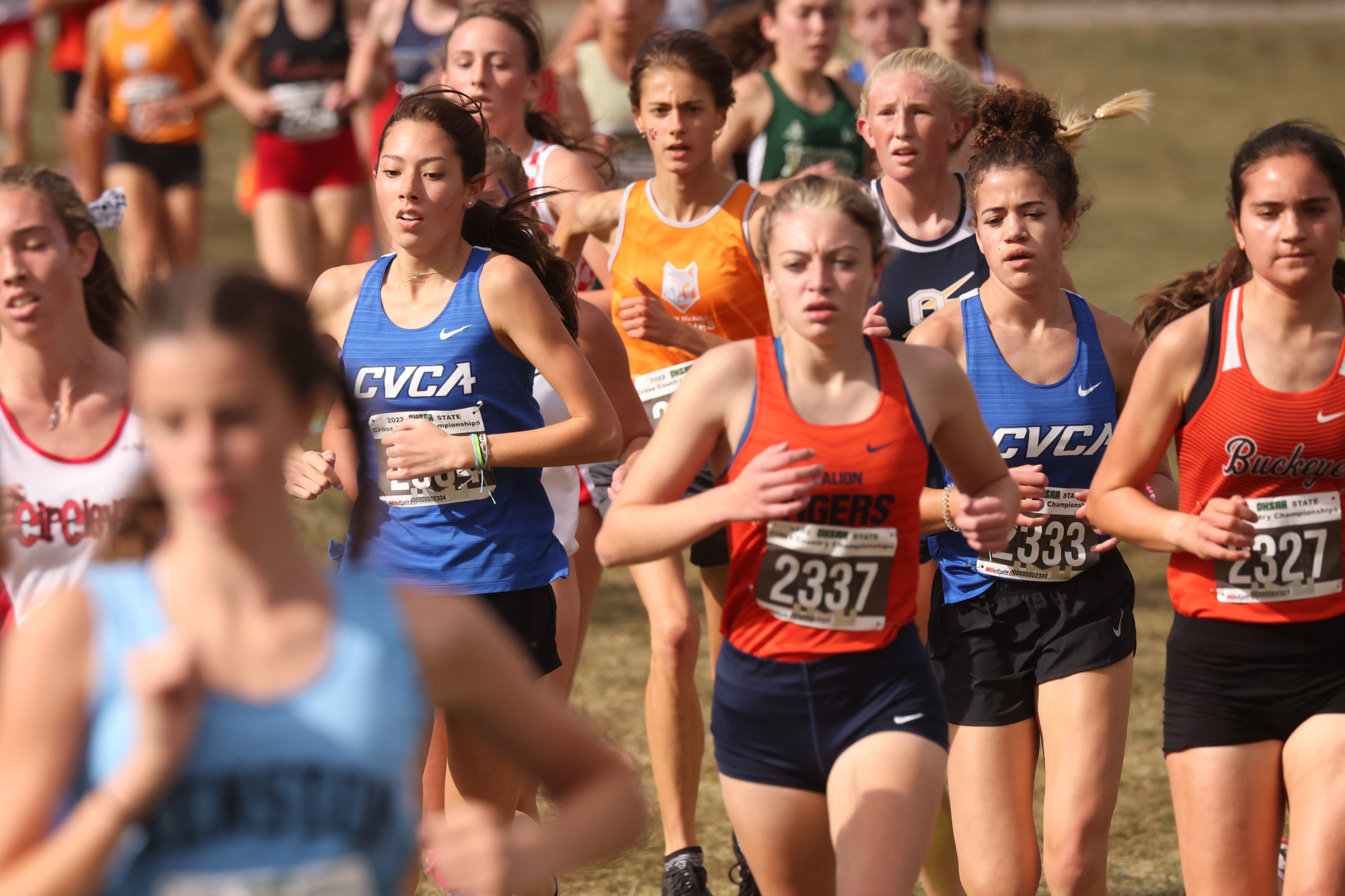 Division II Ohio High School Cross Country Championships 2022 ...