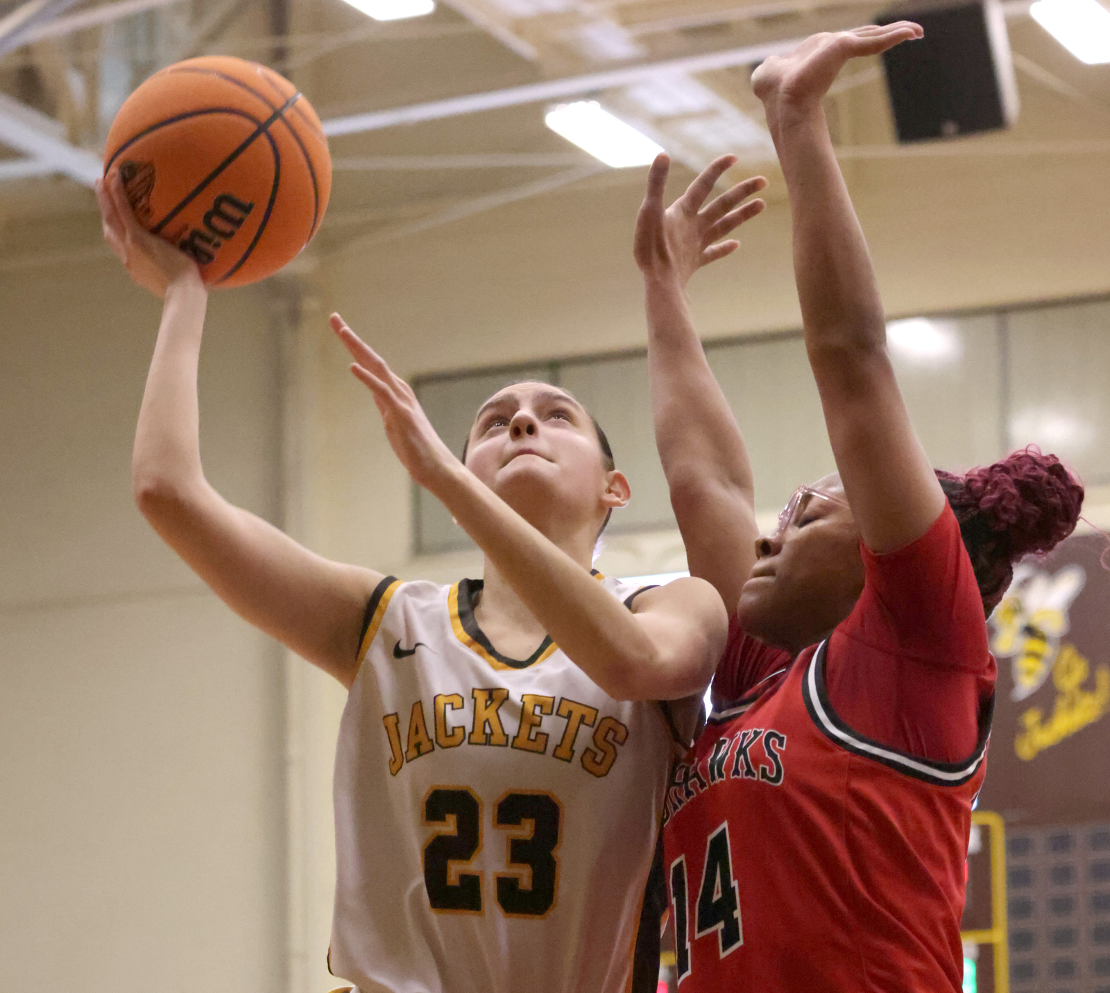 Baldwin Wallace vs. La Roche, Women's Div III basketball first round ...