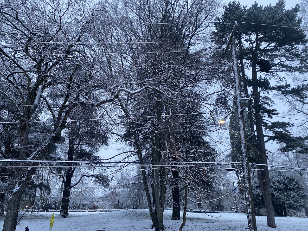 Morning snow in Portland - oregonlive.com