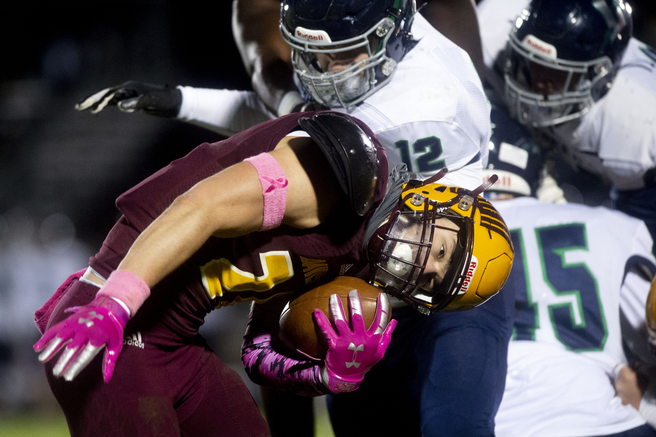 Davison football defeats Lapeer 47-6 - mlive.com