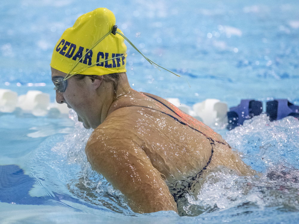 Bishop McDevitt takes on Cedar Cliff in high school swimming - pennlive.com
