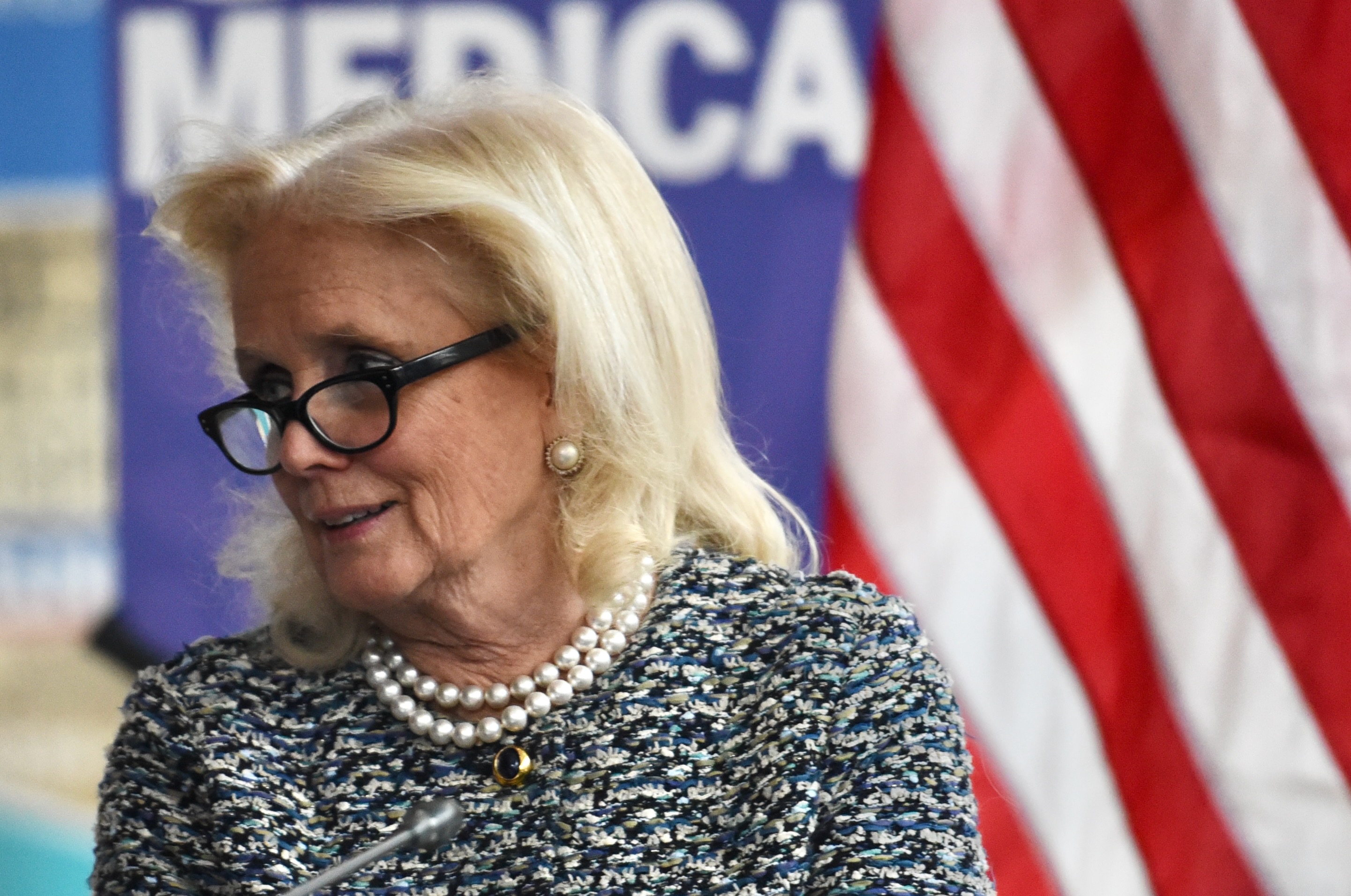 Dingell and Whitmer host roundtable discussion on GOP-proposed Medicaid ...