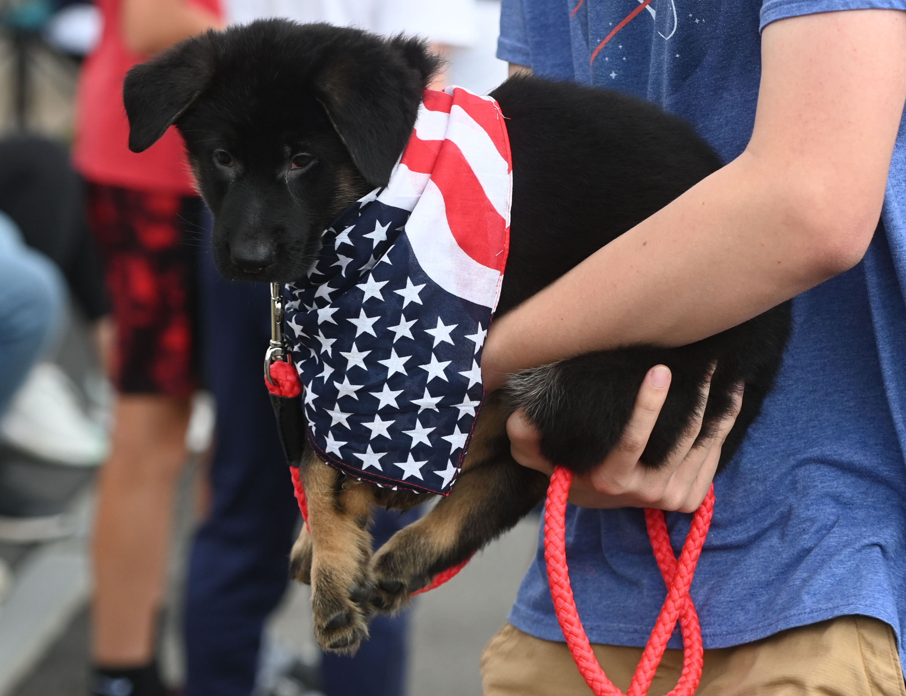 Manlius' July 4 parade - syracuse.com