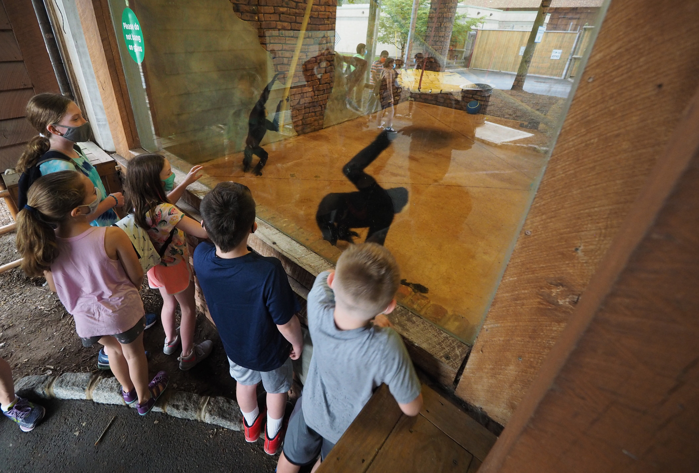 Turtle Back Zoo reopens after pandemic restrictions lifted - nj.com