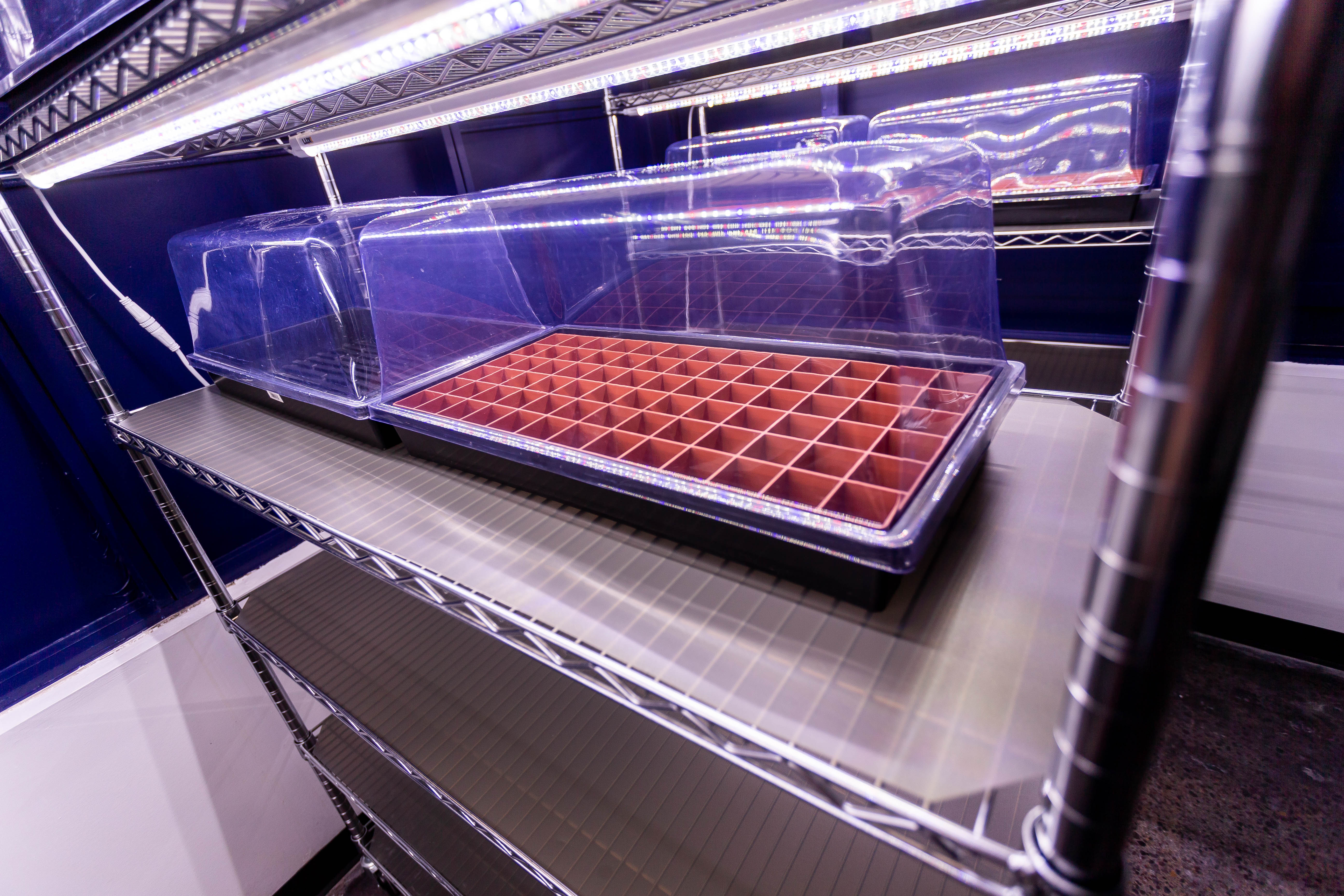 Hashish Boyz celebrate grand opening of Bay City store - mlive.com