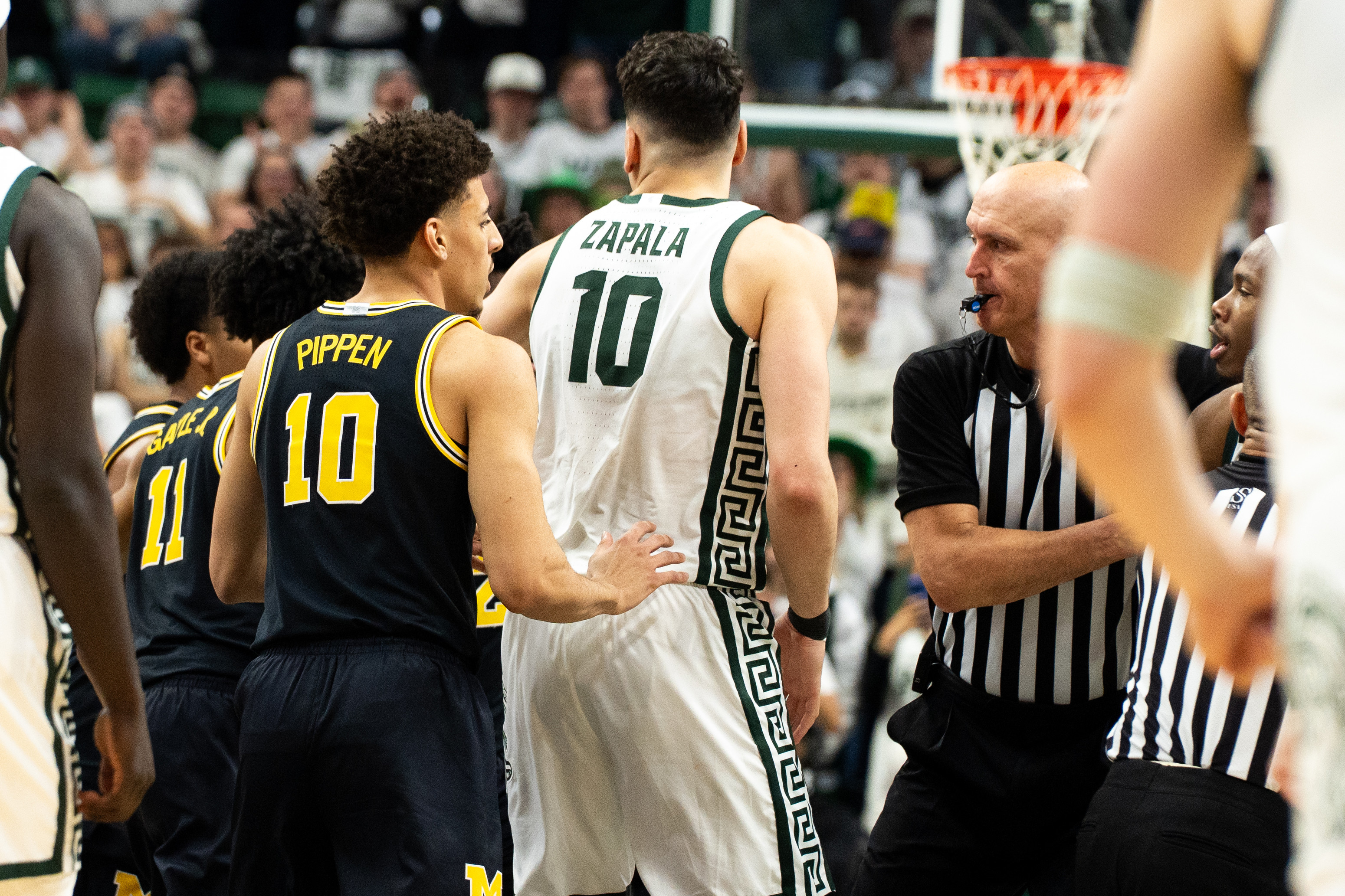 Michigan State celebrates senior day - mlive.com