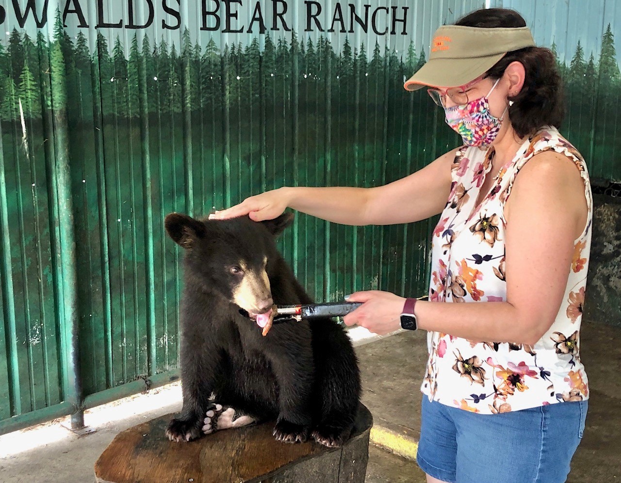 Are Dogs Allowed At Oswalds Bear Ranch