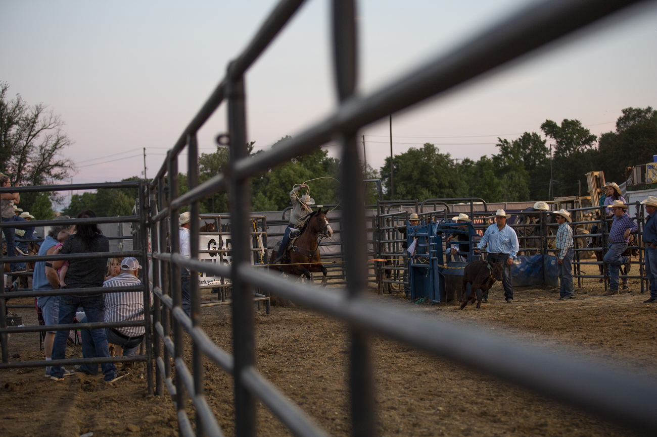 Twisted P Rodeo - mlive.com