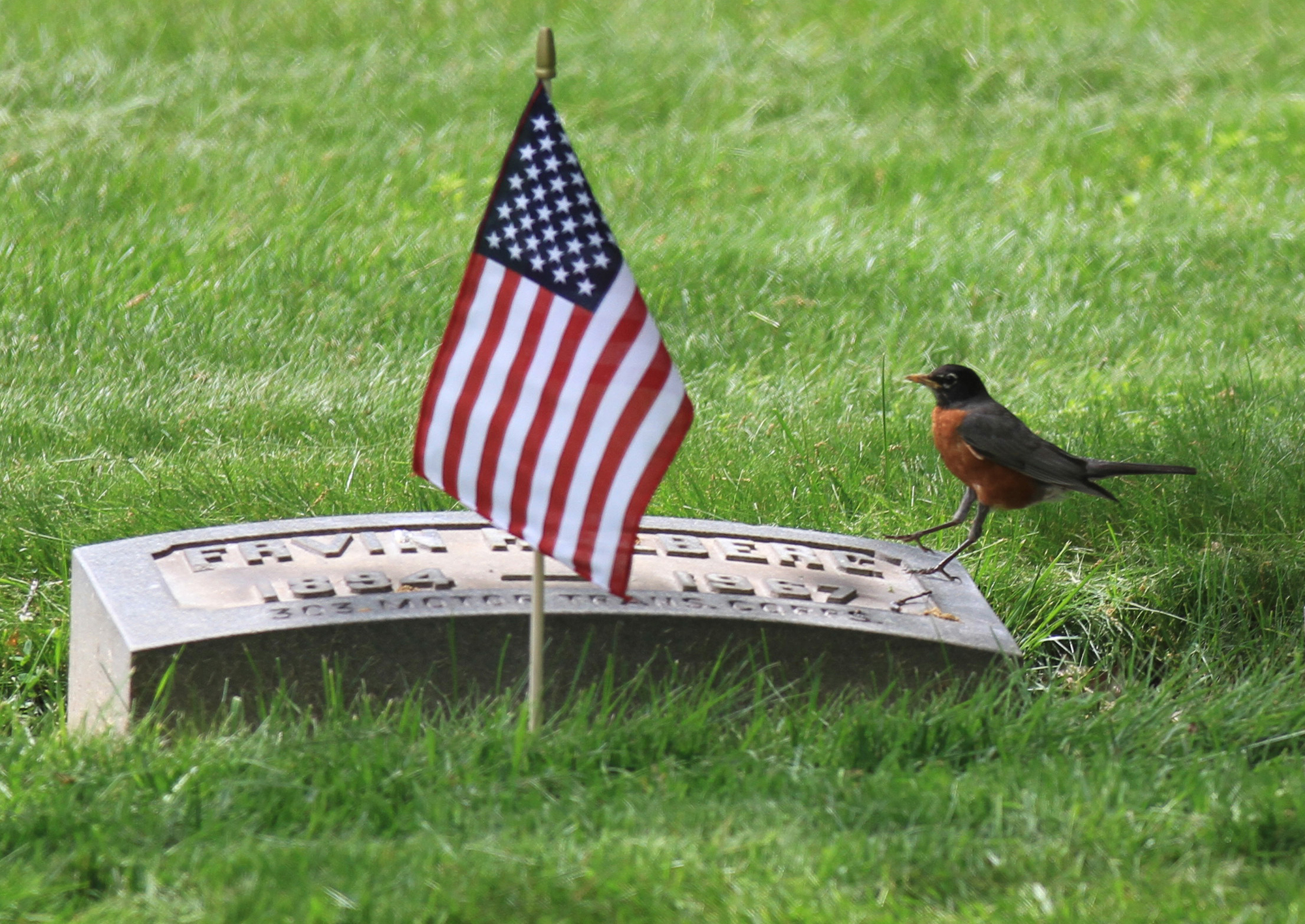 Flags placed on gravesites at Lake View Cemetery for Memorial Day ...