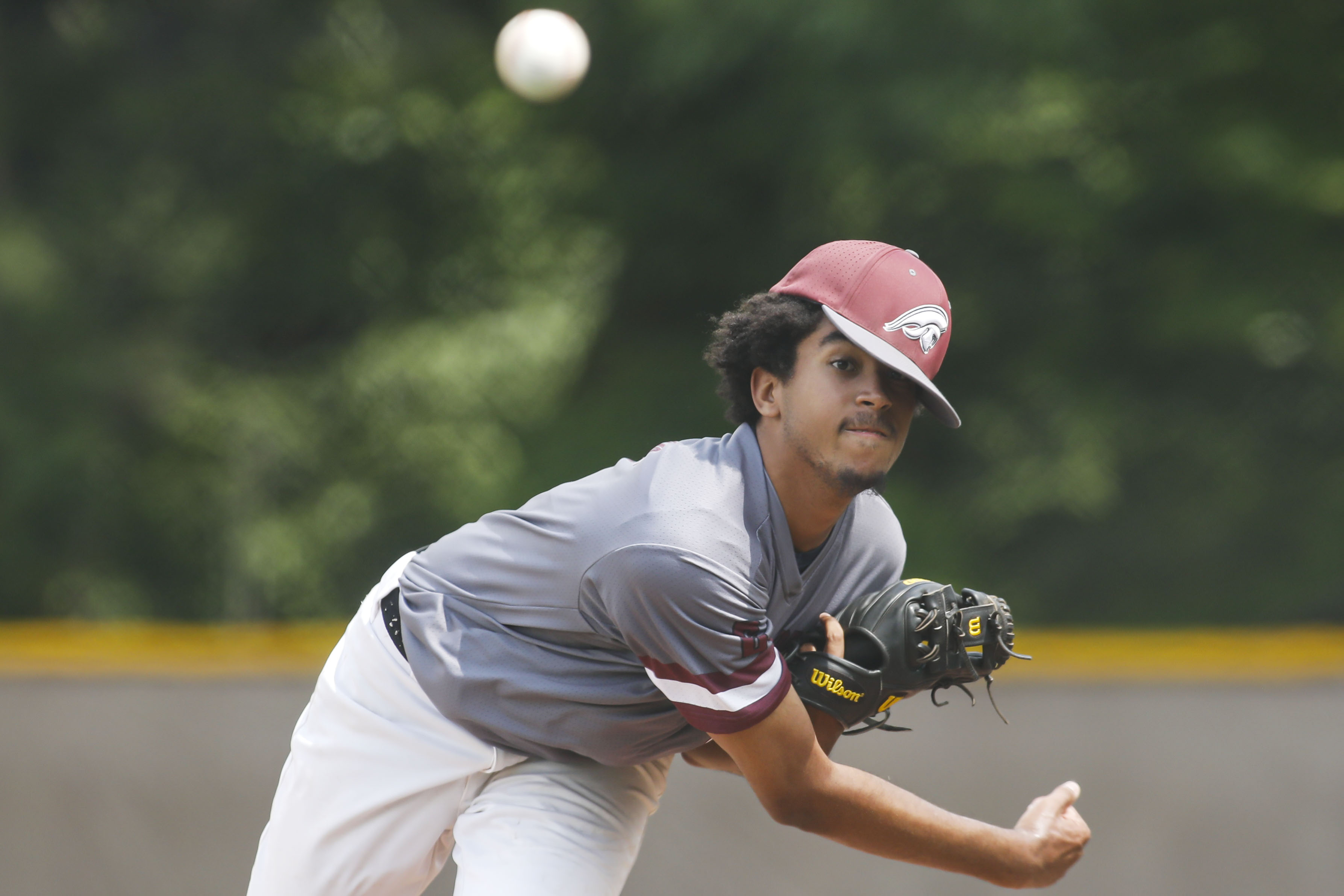 Baseball: Rutgers Prep vs. Ranney in NJSIAA South, NPB quarterfinal on ...