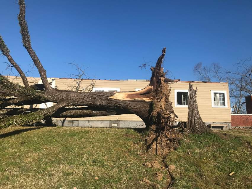 Janice and Bobby Hamilton - al.com