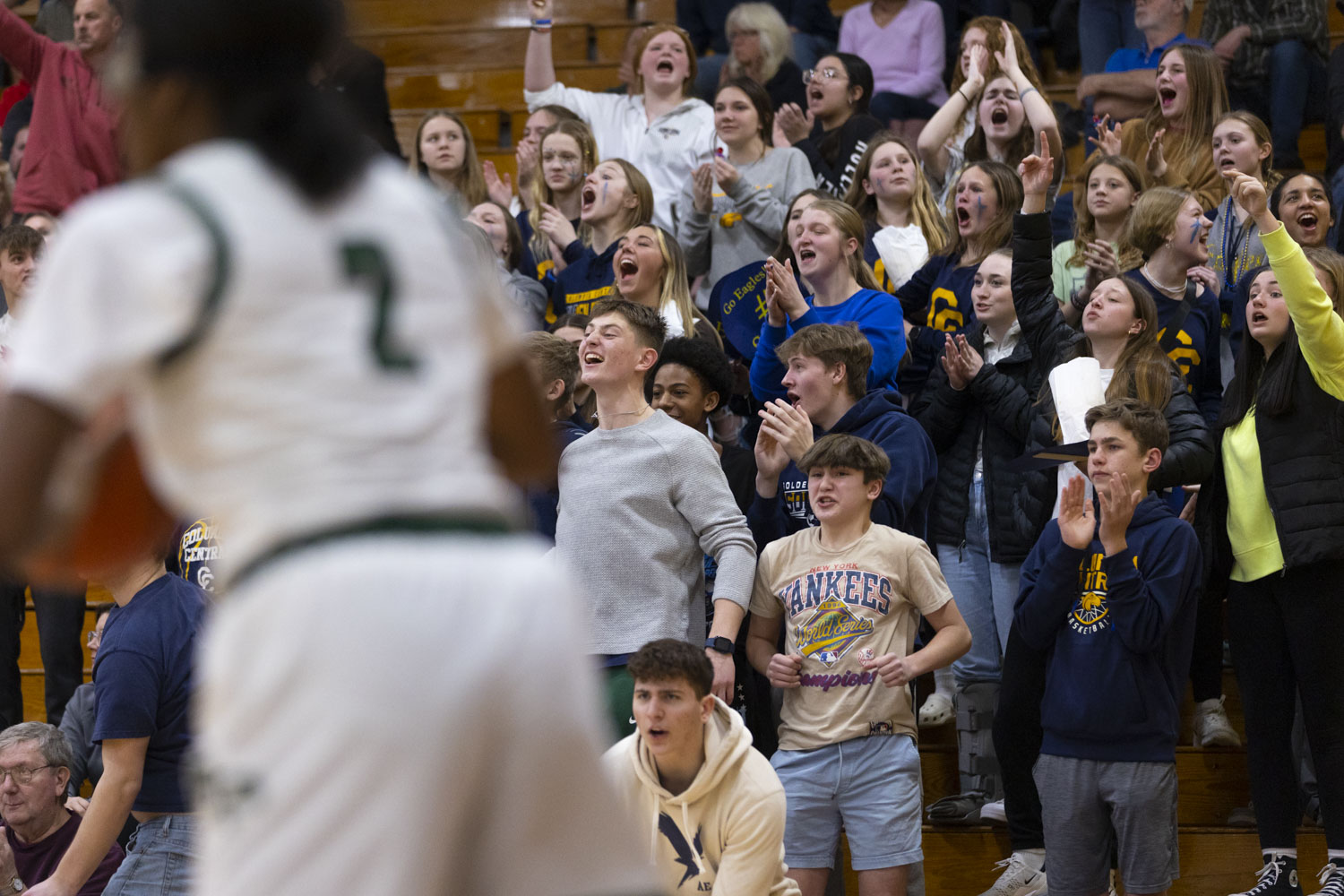 See photos as Arbor Prep defeats Columbia Central in Division 3 ...