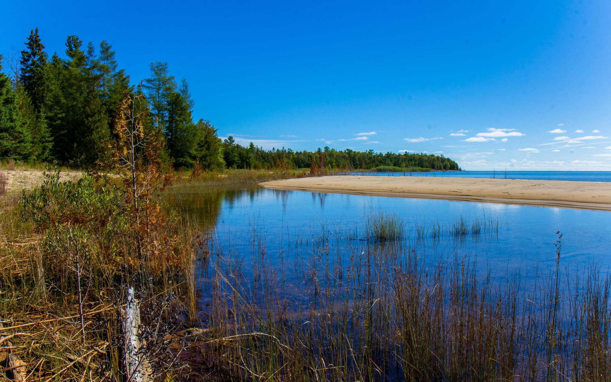 North Point Nature Preserve - mlive.com