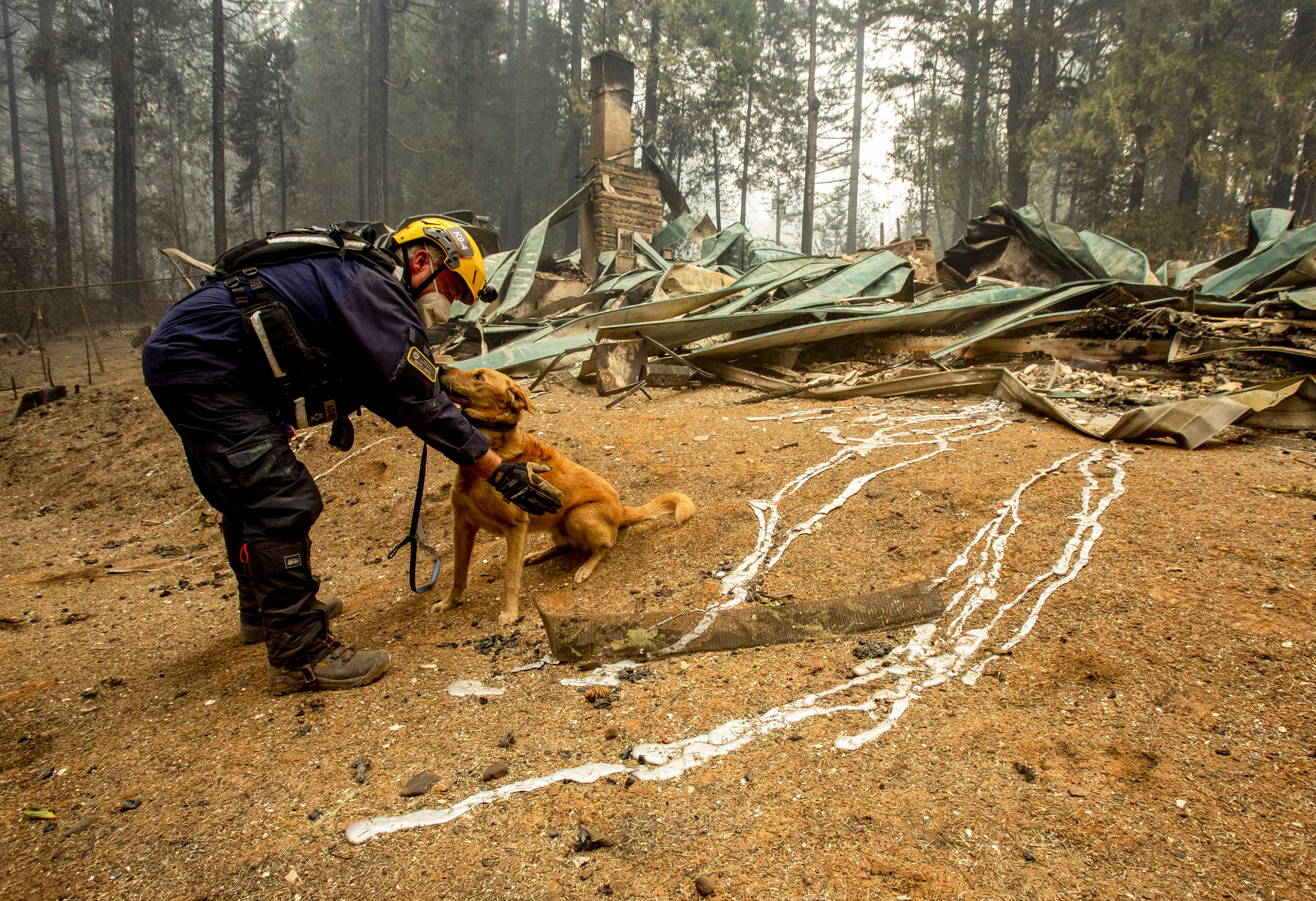 Holiday Farm wildfire damage - oregonlive.com