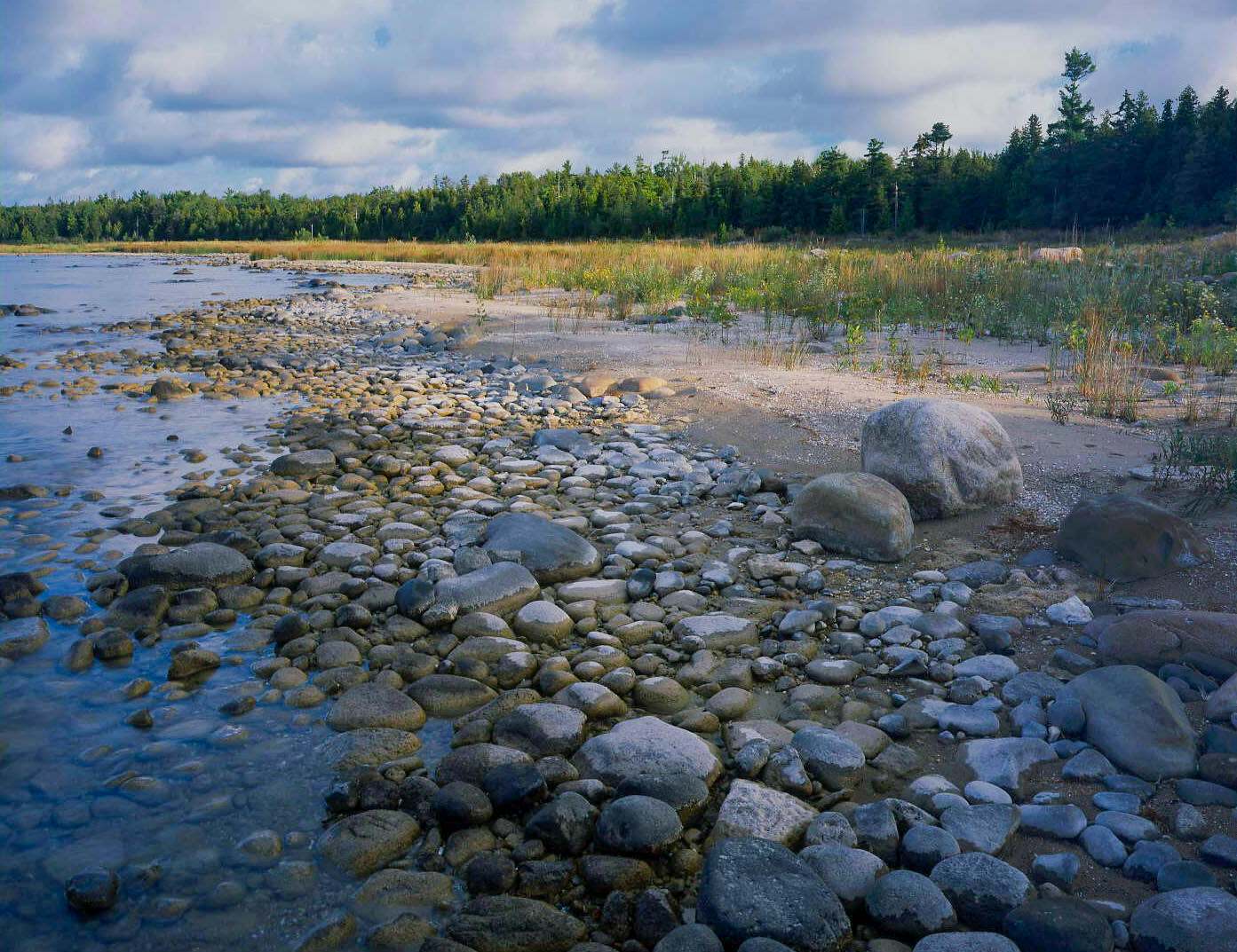 North Point Nature Preserve - mlive.com