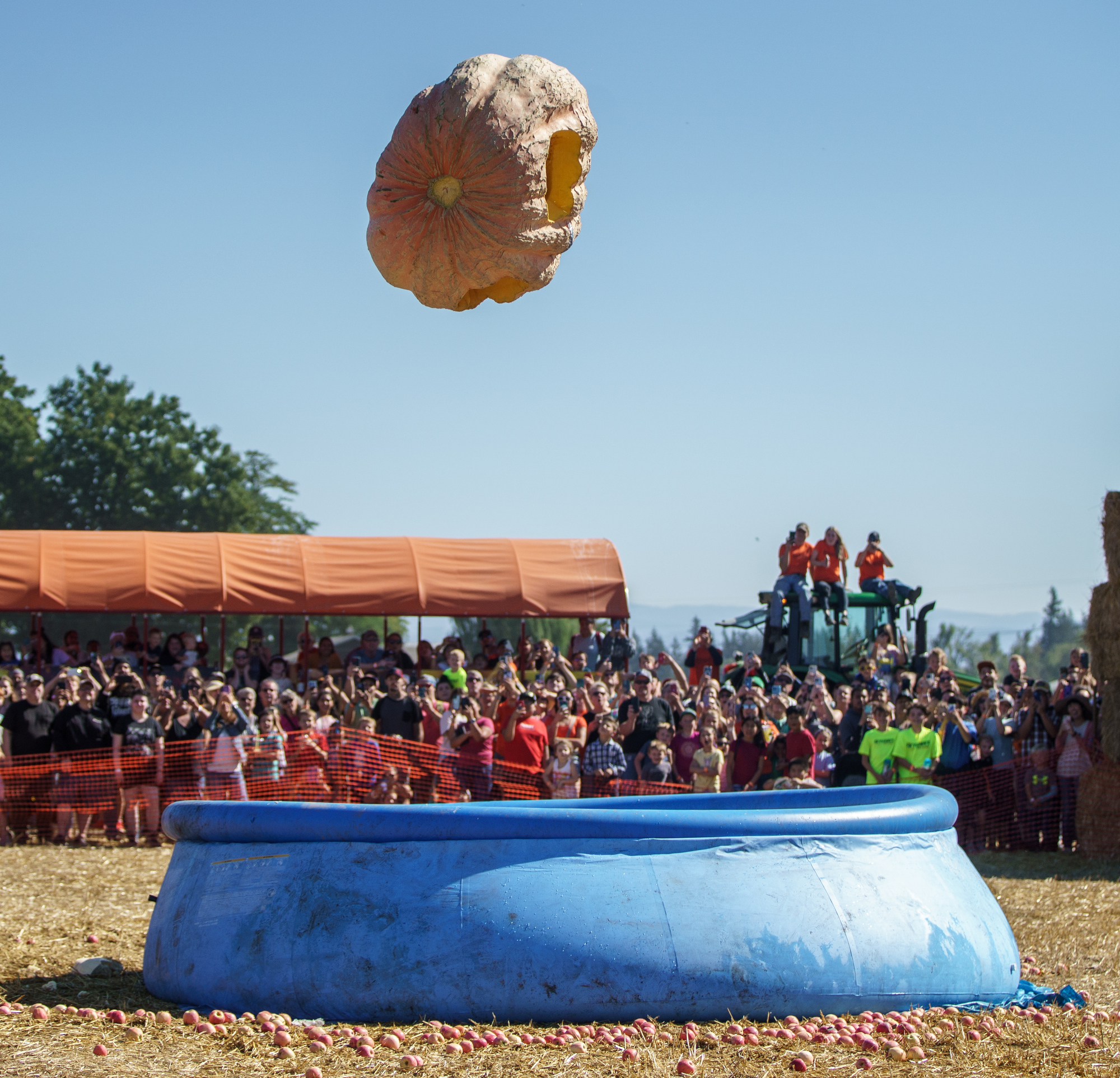 Bauman’s Giant Pumpkin Drop 2022 - oregonlive.com