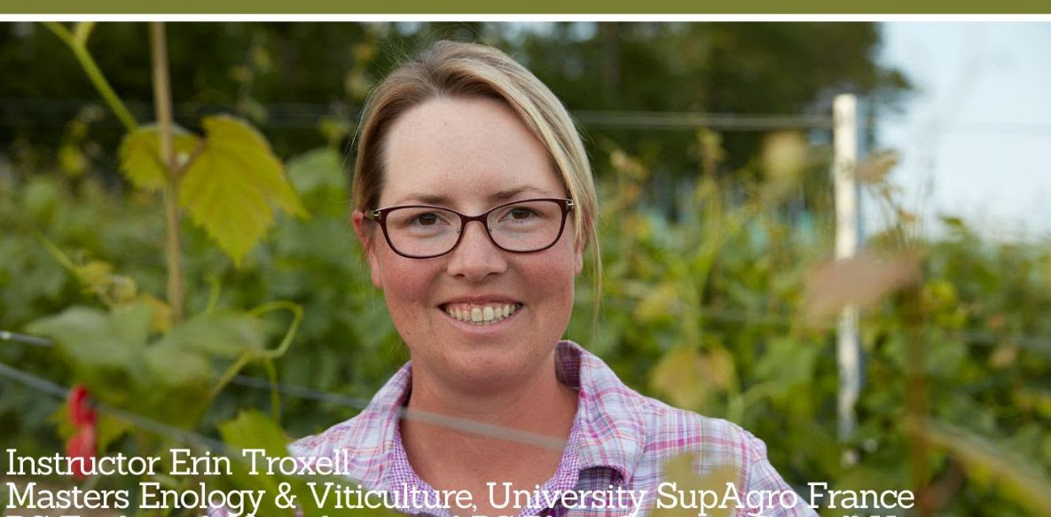 Pa. winery’s 2nd generation set for release of her 1st sparkling wines