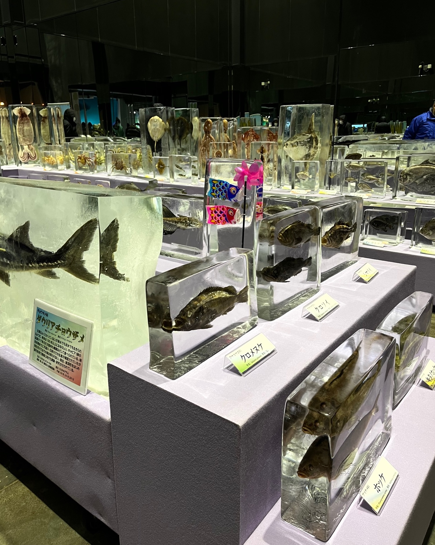 Newport in Japan - oregonlive.com
