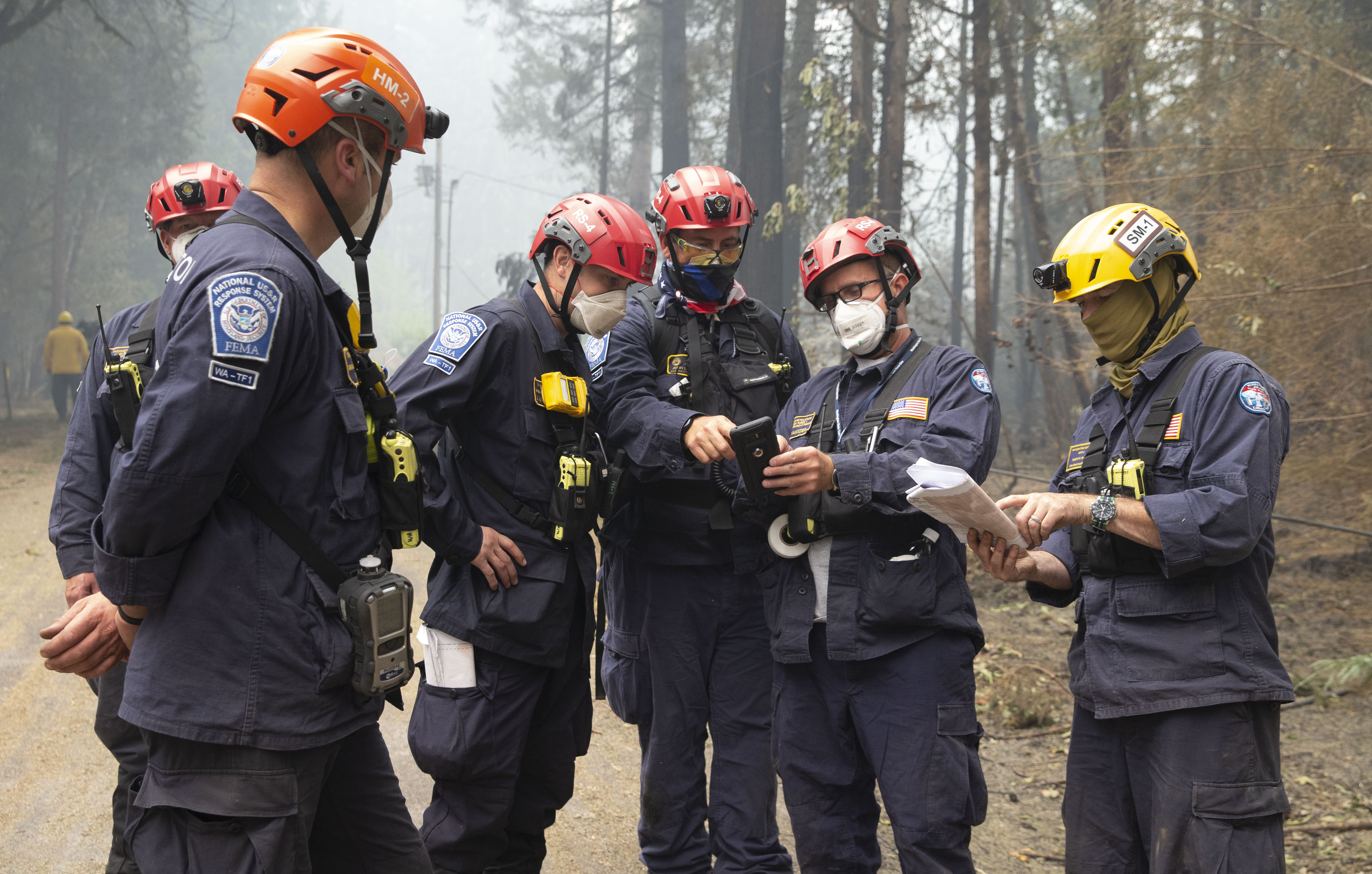 Holiday Farm wildfire damage - oregonlive.com