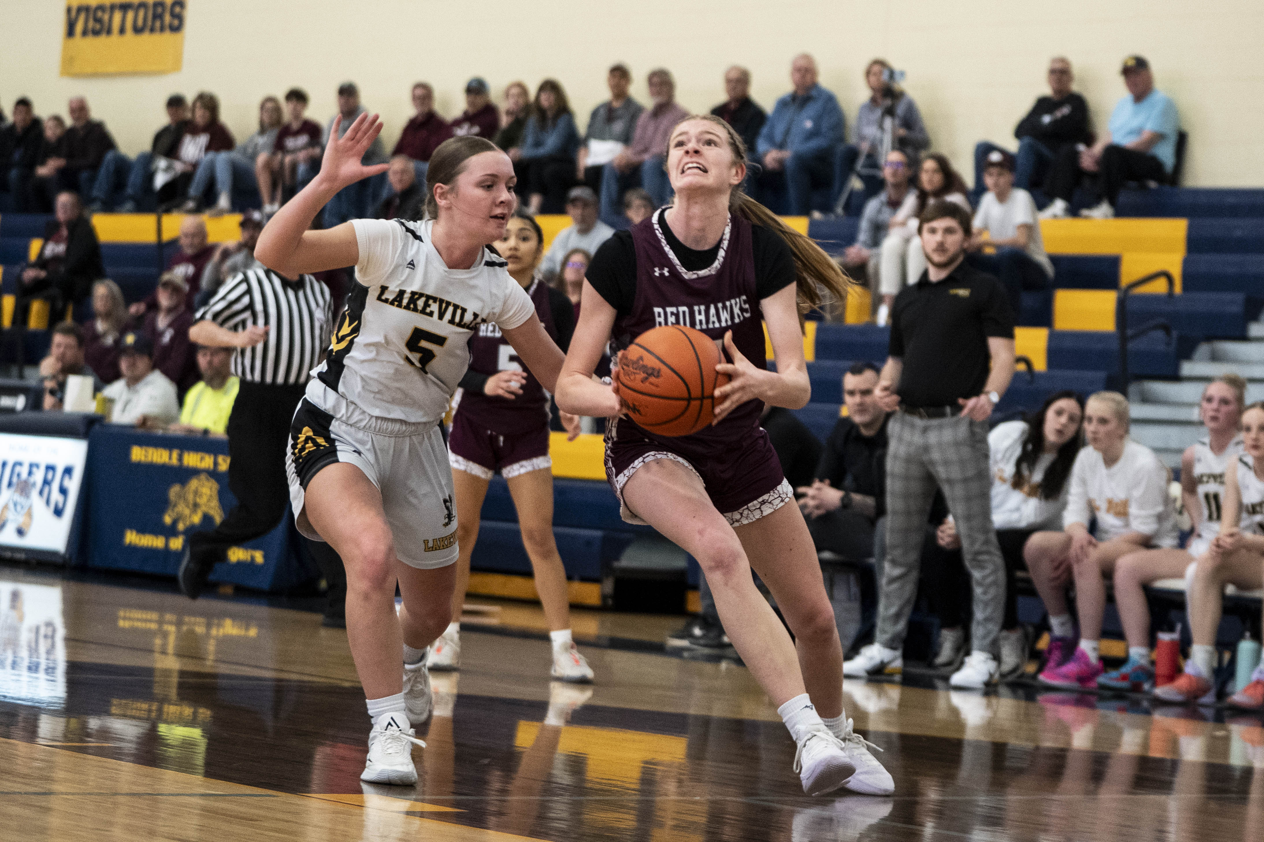 Lakeville Memorial and Cass City face off in regional semifinal - mlive.com