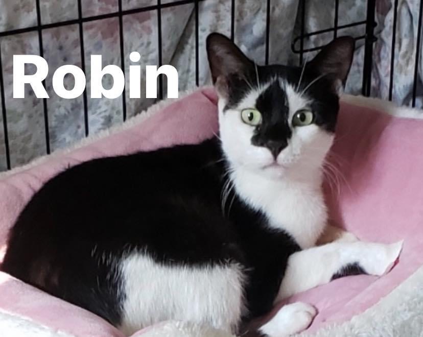 Here's to another week of wonderful new friends to make life eventful ...