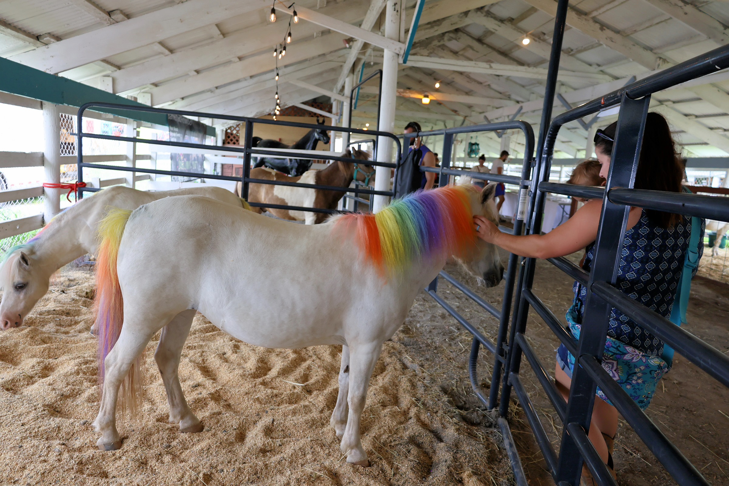 2023 Warren County Farmers' Fair opens - lehighvalleylive.com
