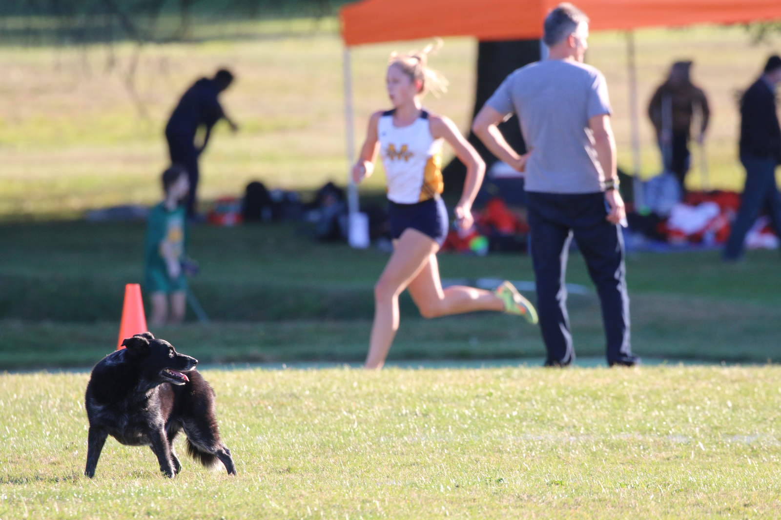 62nd annual Paul Primeau Cross Country meet at Gilmour Academy ...