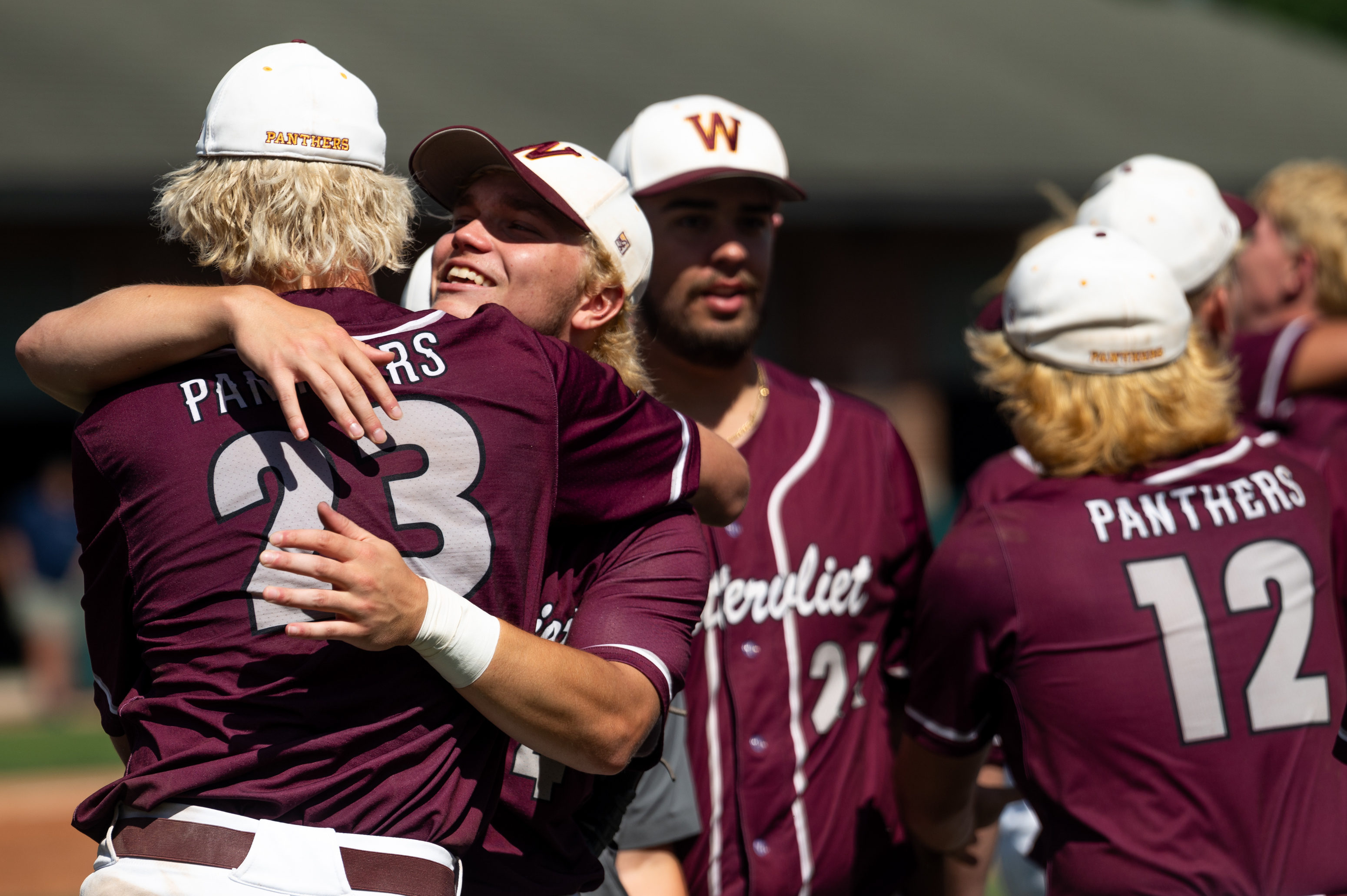 Watervliet wins MHSAA Division 3 baseball state championship - mlive.com