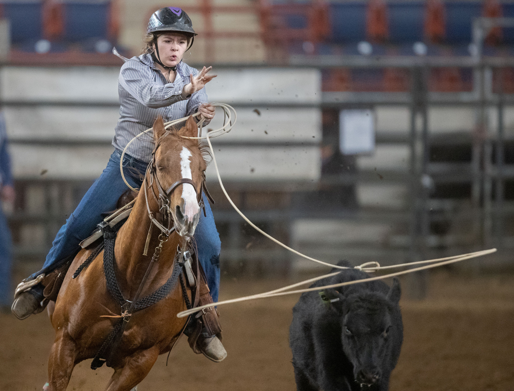 High School rodeo at the 2023 Farm Show in Harrisburg - pennlive.com