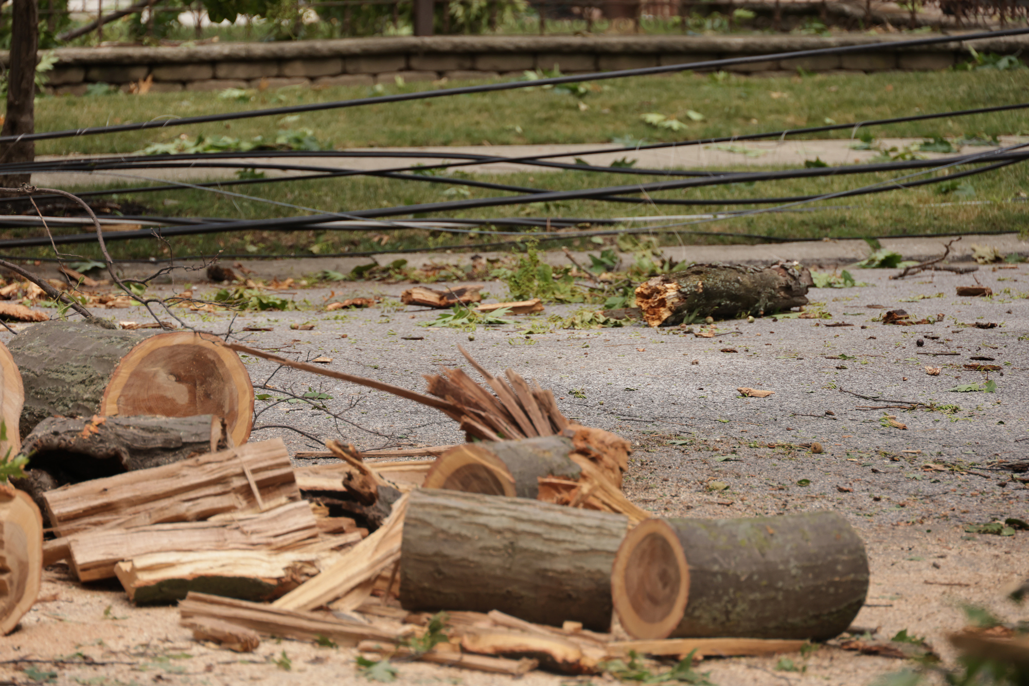 Storm damage around Northeast Ohio, August 7, 2024 - cleveland.com