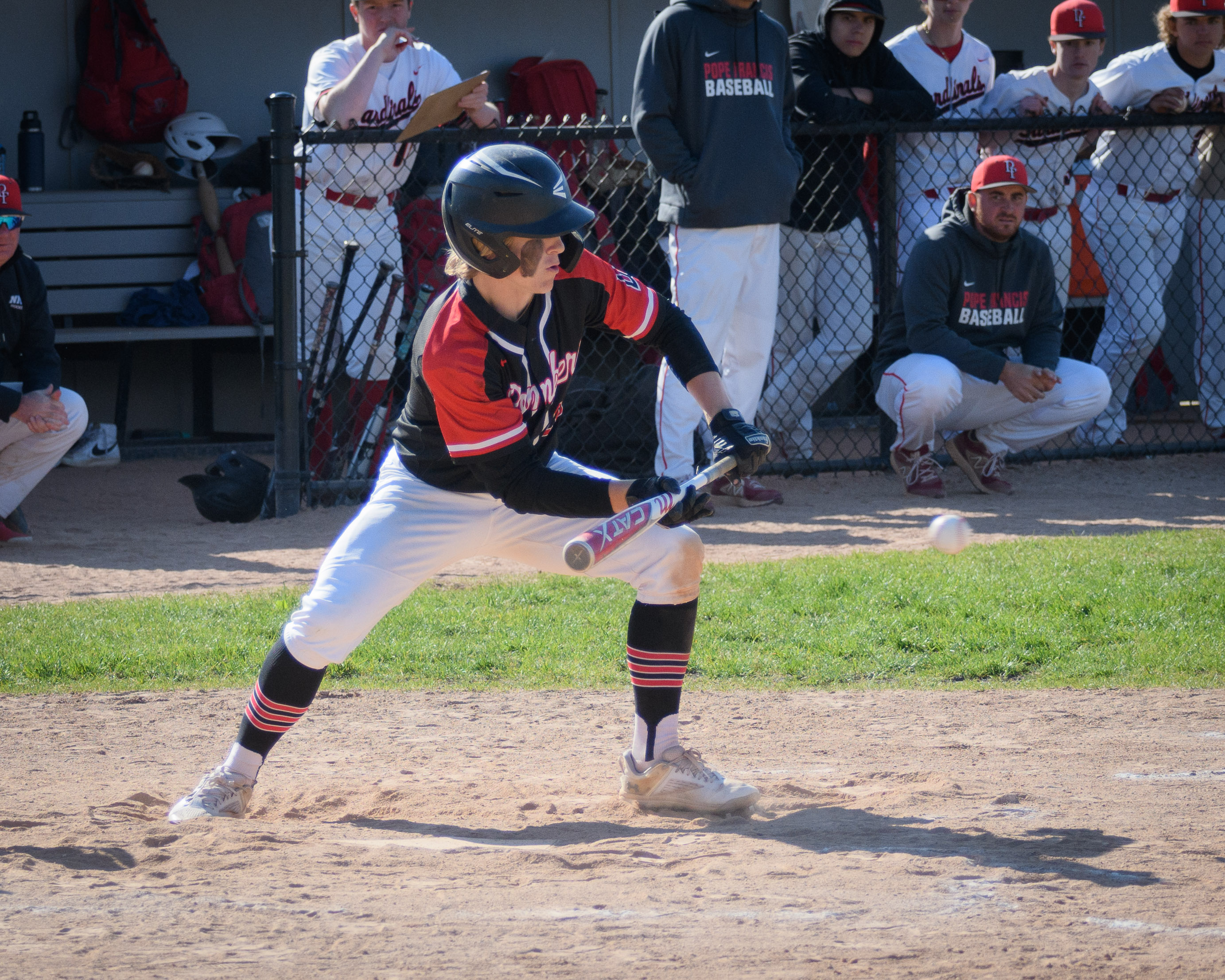 Westfield High vs Pope Francis Prep Baseball - masslive.com