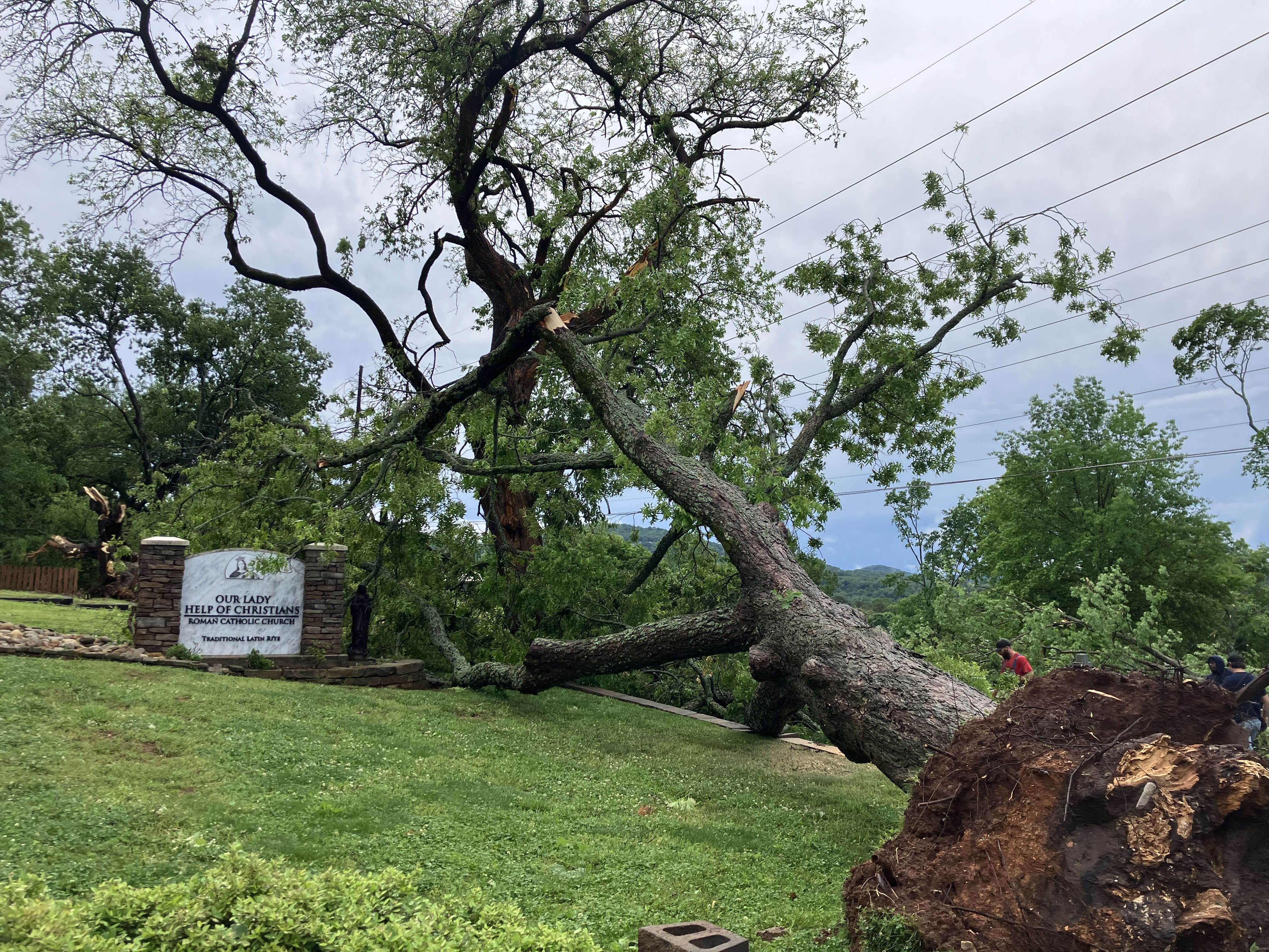 Alabama storm damage: May 9, 2024 - al.com