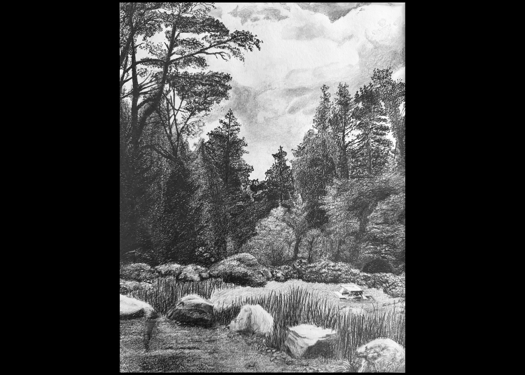 2025 CNY Scholastic Art Awards: Drawing & Illustration - syracuse.com