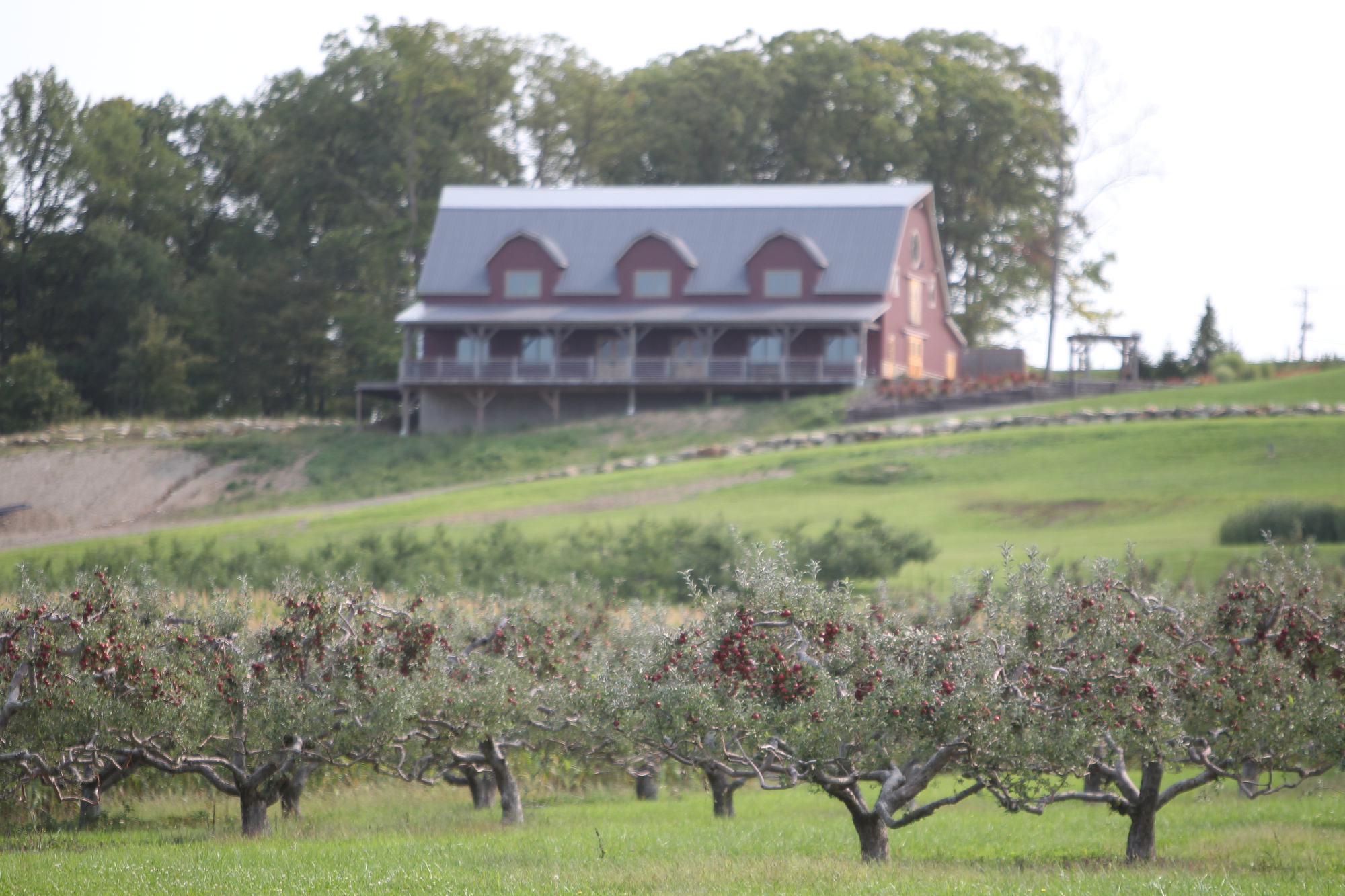 Mapleside Farms Pumpkin Village opens Friday - cleveland.com