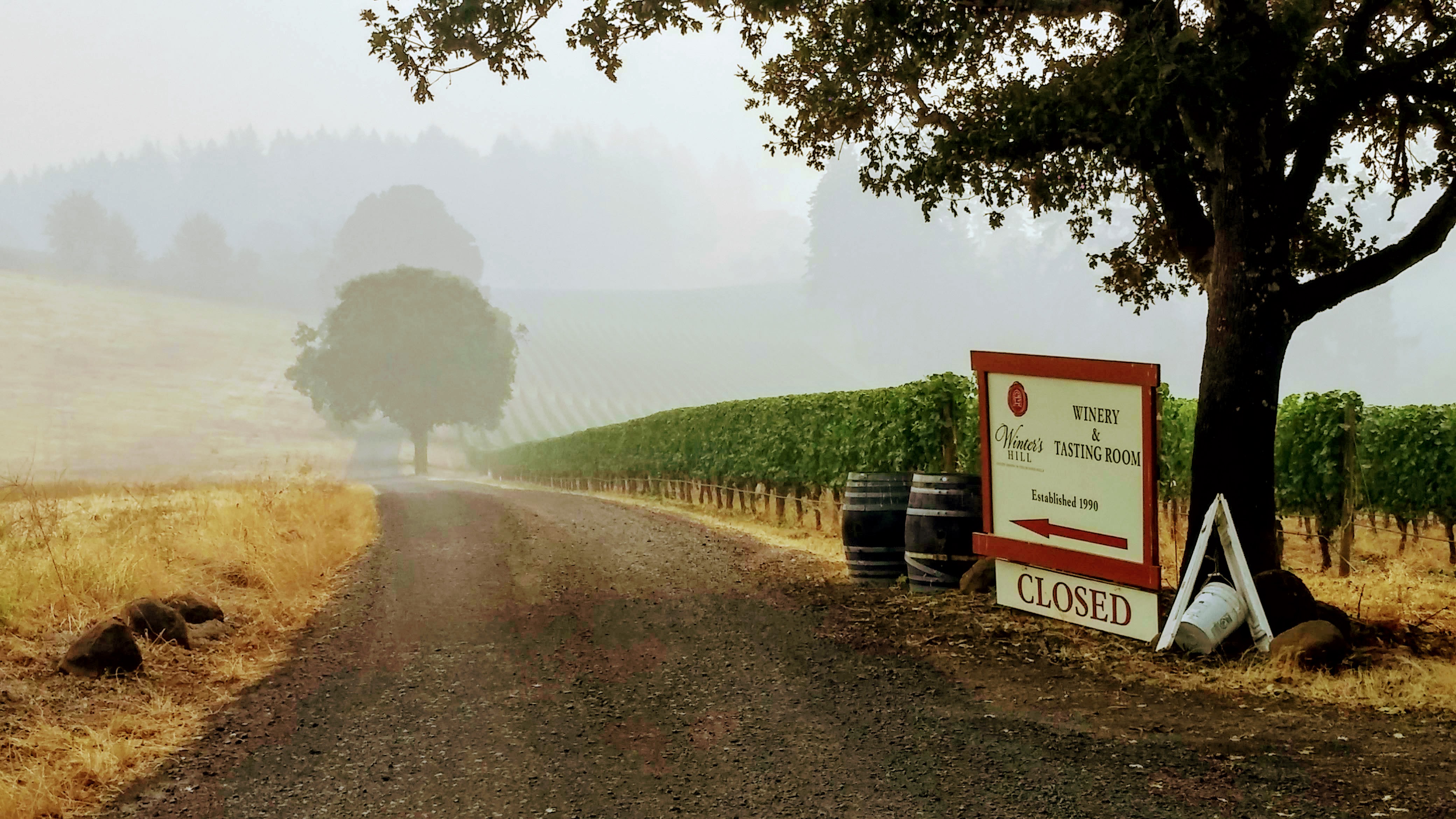 2020 wildfire smoke and Oregon wineries - oregonlive.com