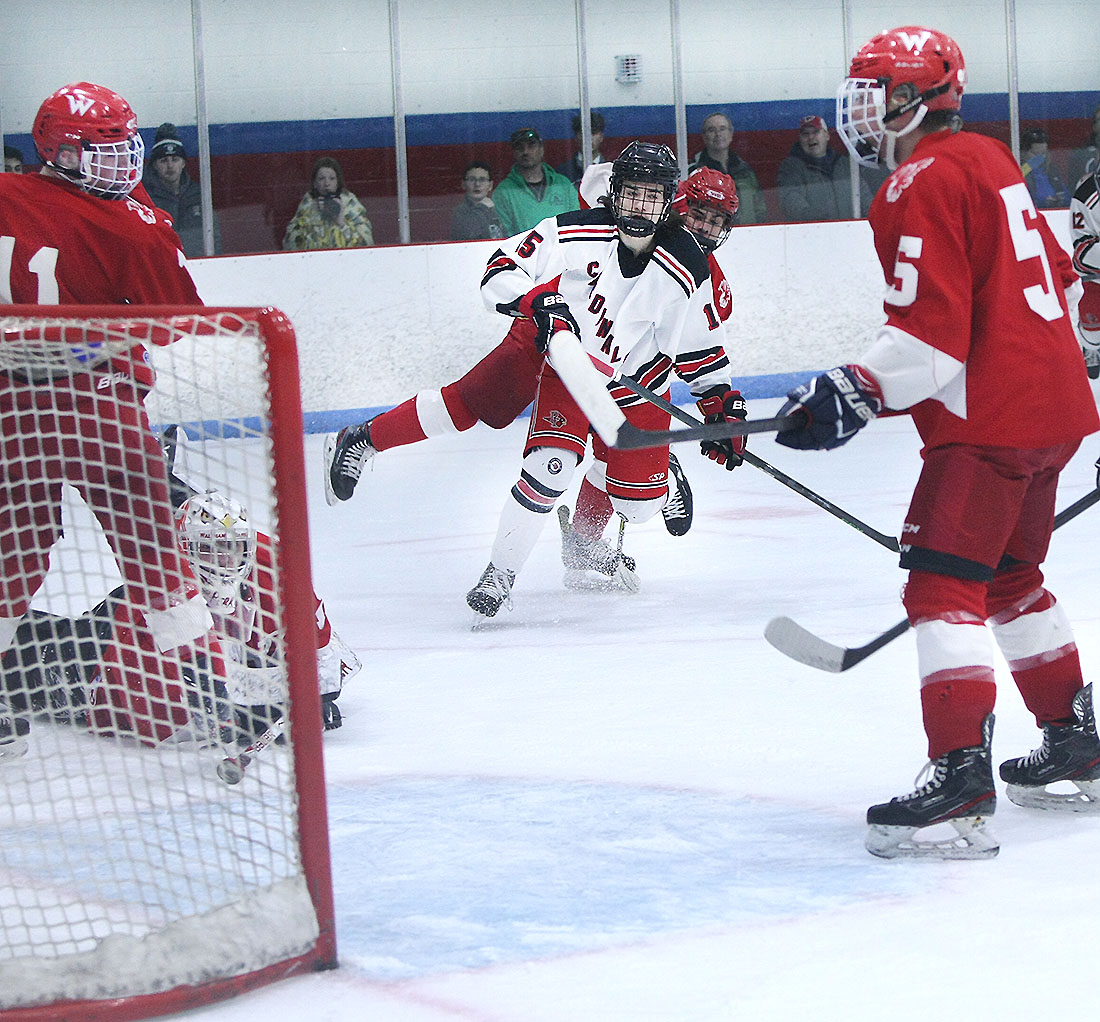 Waltham vs Pope Francis Hockey 3/3/22 - masslive.com