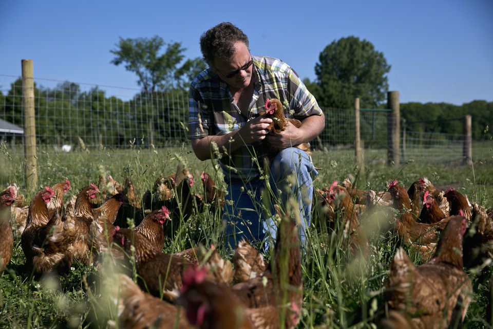 Carlson Farms - mlive.com