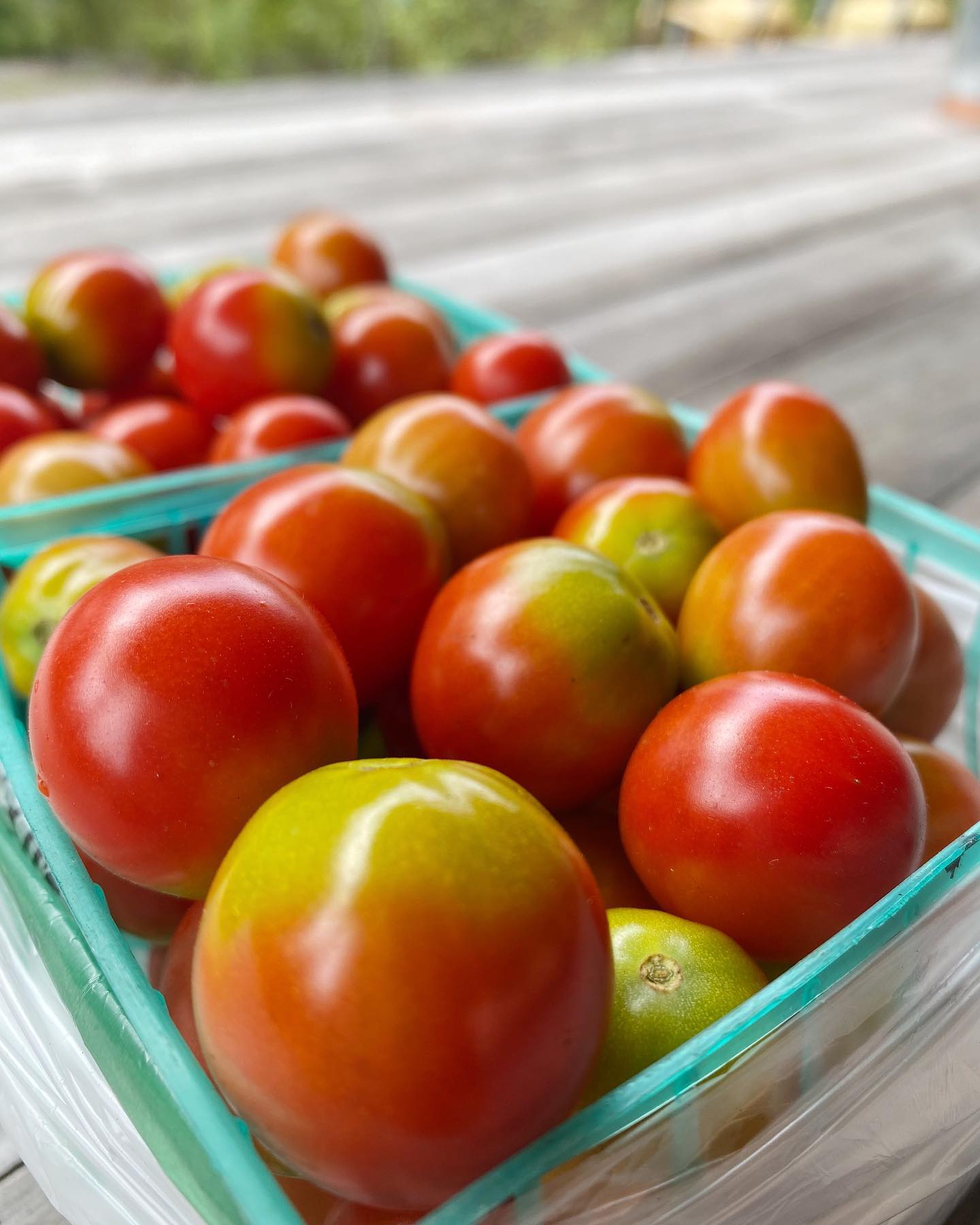 Jones Valley Teaching Farm - al.com